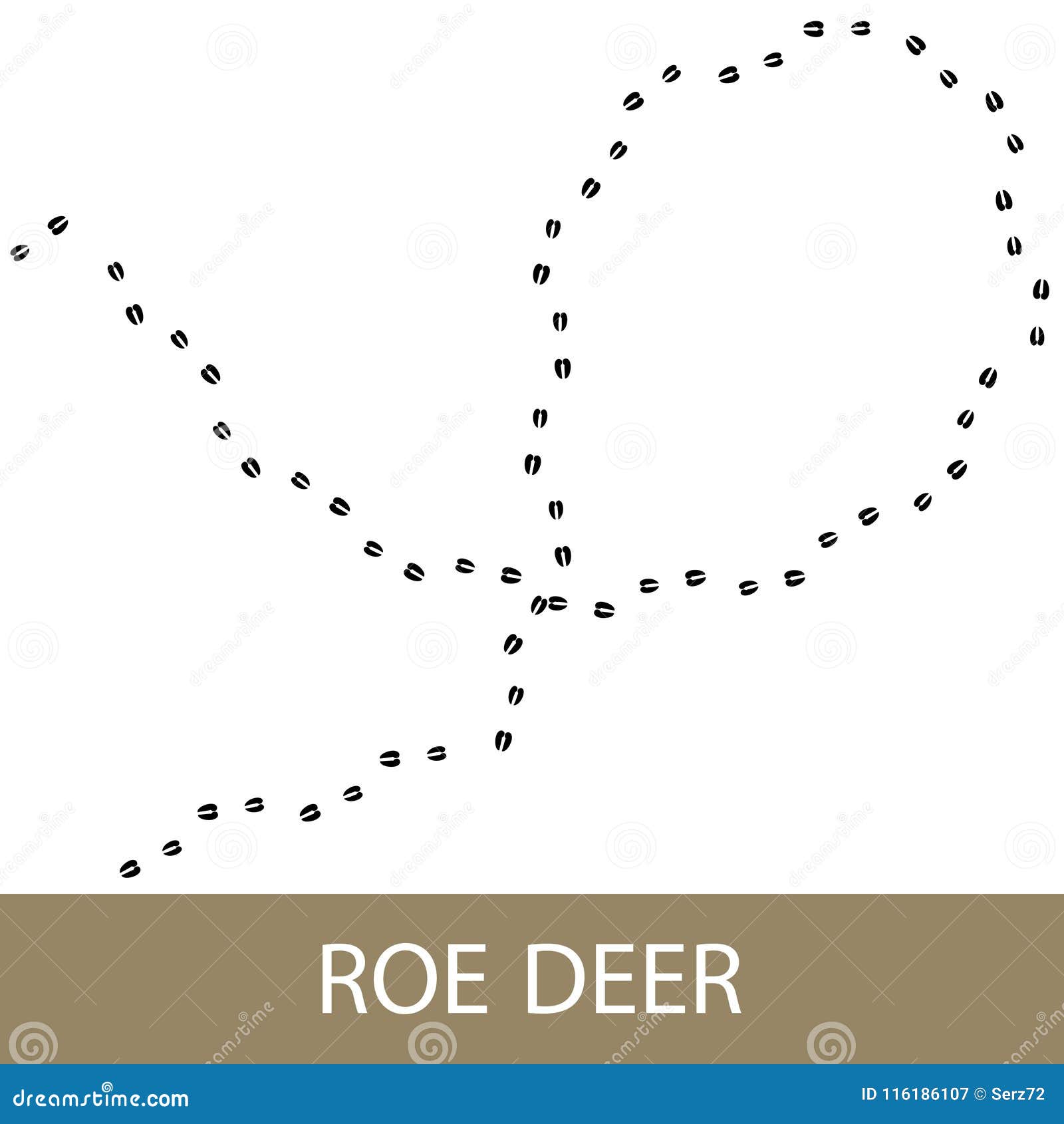 Traks of a Roe Deer Animal stock vector. Illustration of silhouette ...
