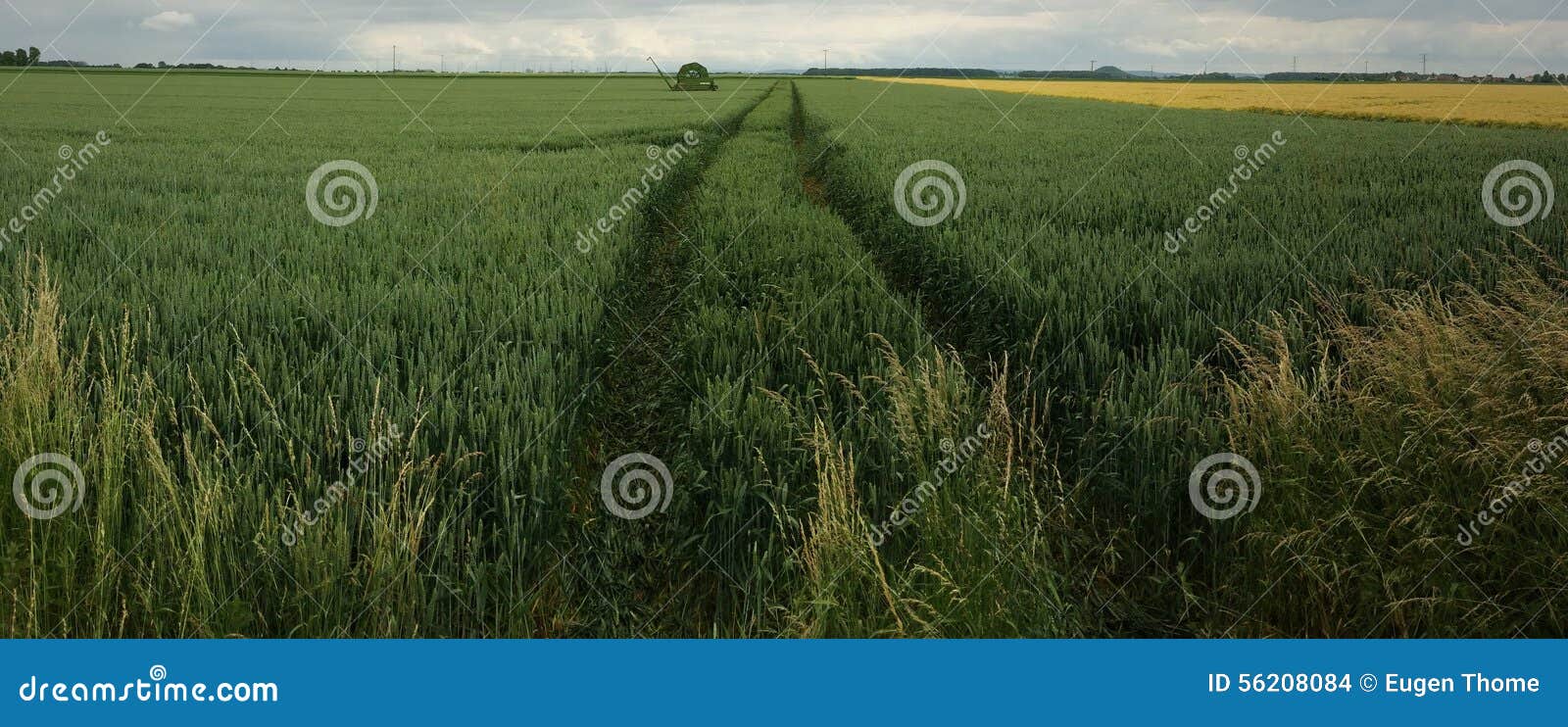 Traktor Ruts in the Field (Panorama) Stock Photo - Image of farm ...