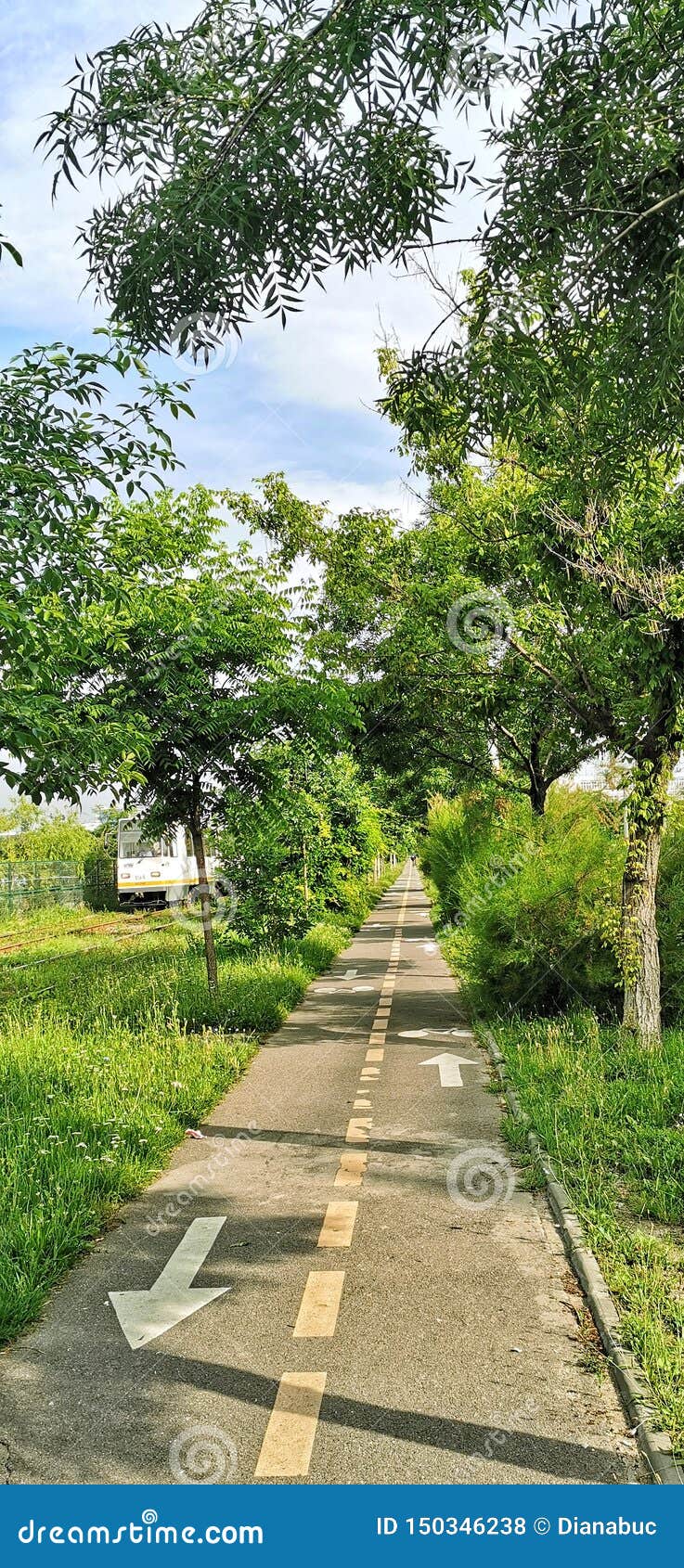 Tram and alley editorial stock photo. Image of pitch - 150346238 Tram and alley editorial stock photo. Image of pitch - 150346238