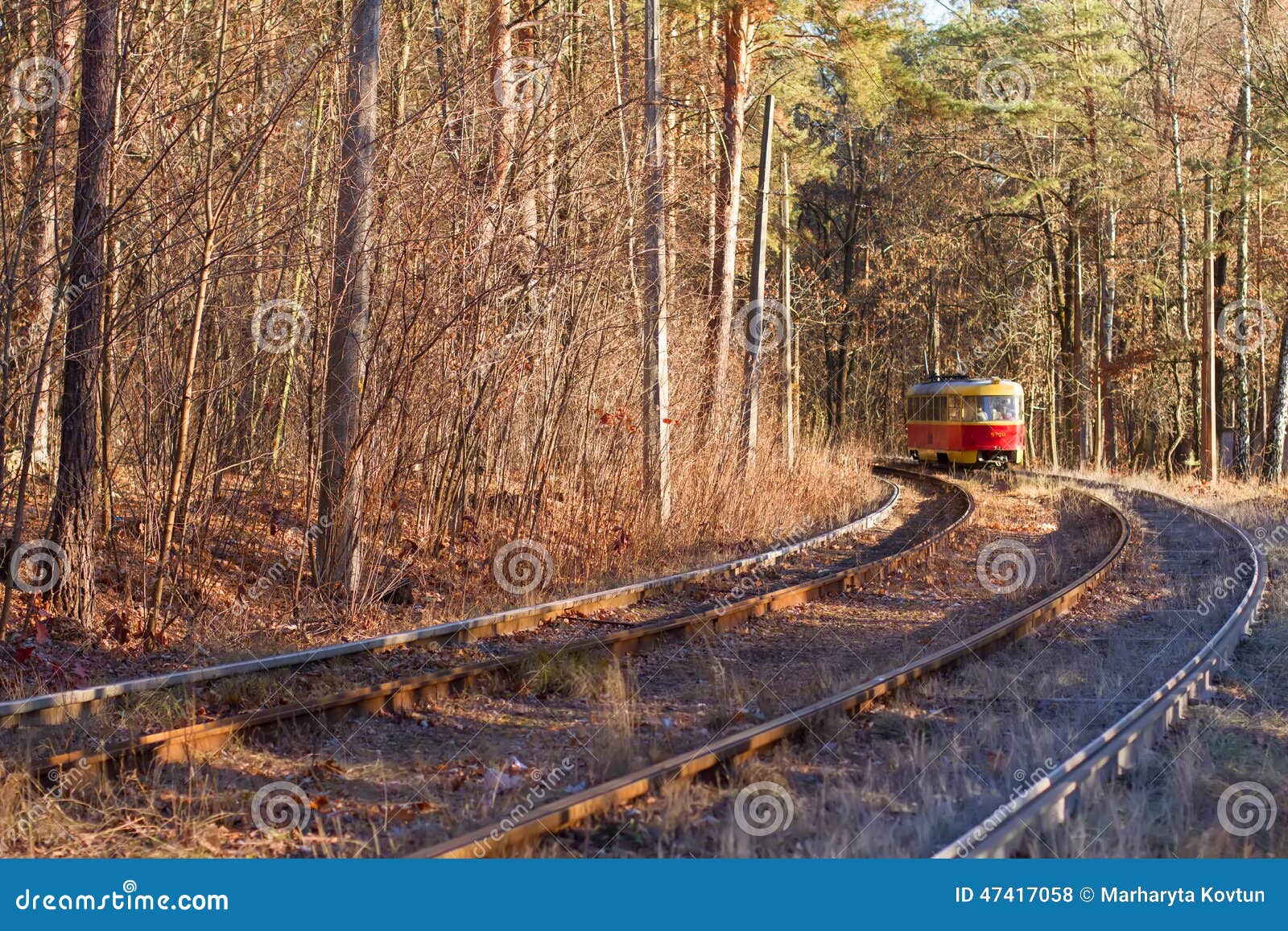 Tram in forest stock photo. Image of direction, extreme - 47417058