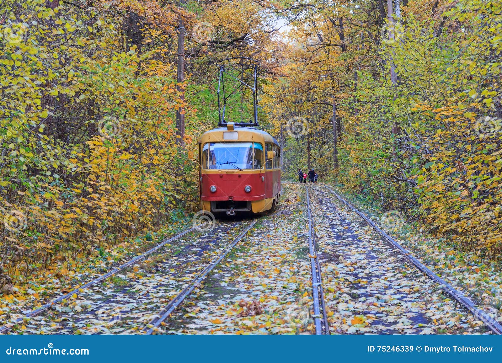 Tram Goes through a Tunnel in the Forest Stock Image - Image of path ...