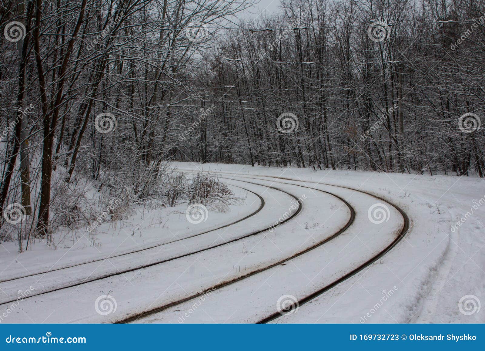 Tram Line Rails in the Snow-covered Forest in Kyiv. Ukraine Stock Image ...