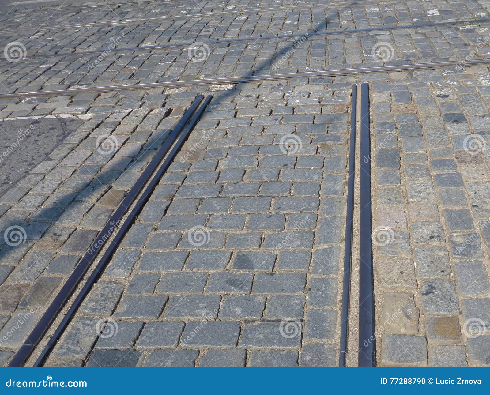 Tram Lines Crossing on Cobbles Stock Photo - Image of ground, pavement ...