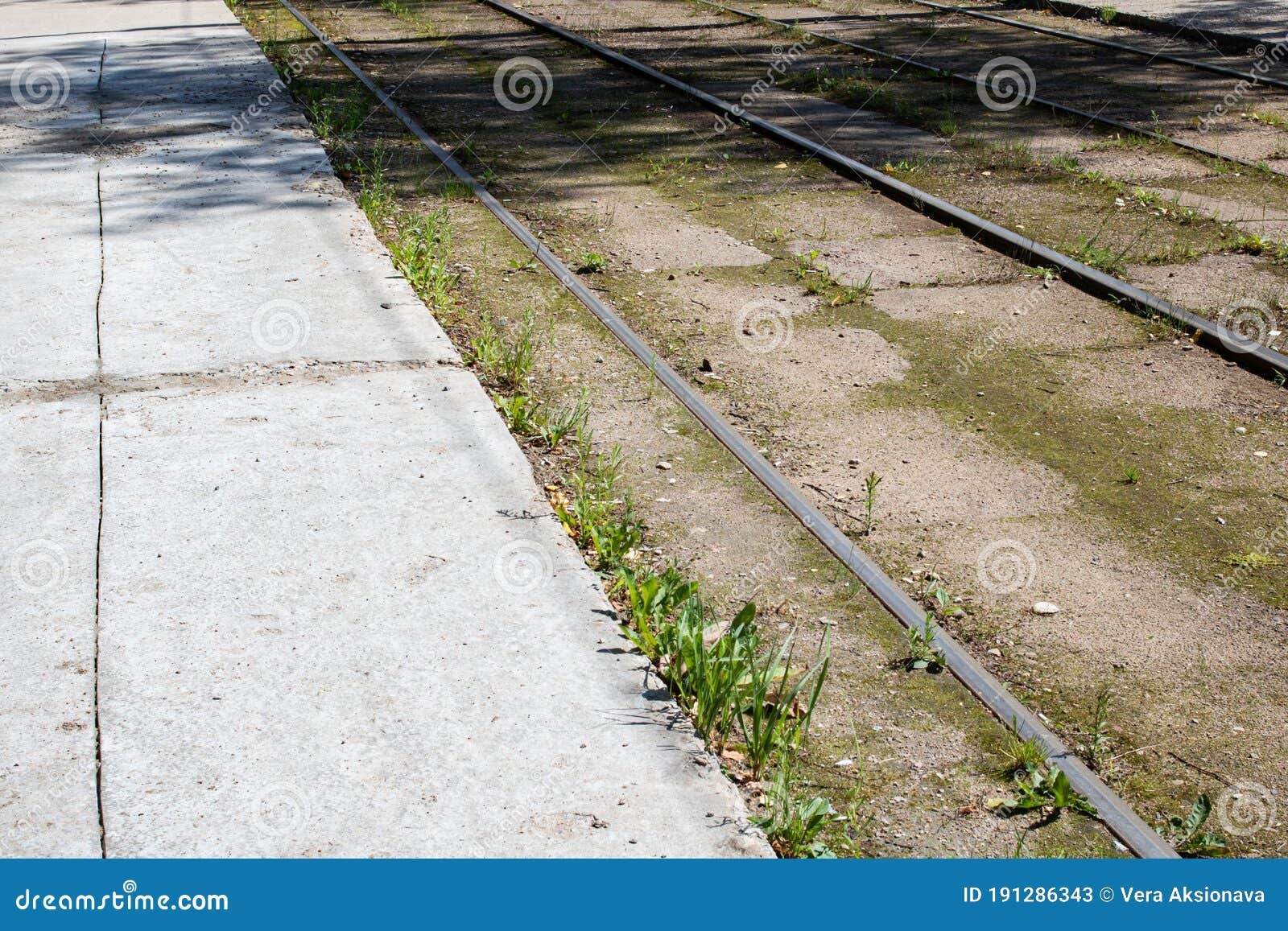 Tram Rail among Green Grass Close Up Stock Image - Image of metal ...