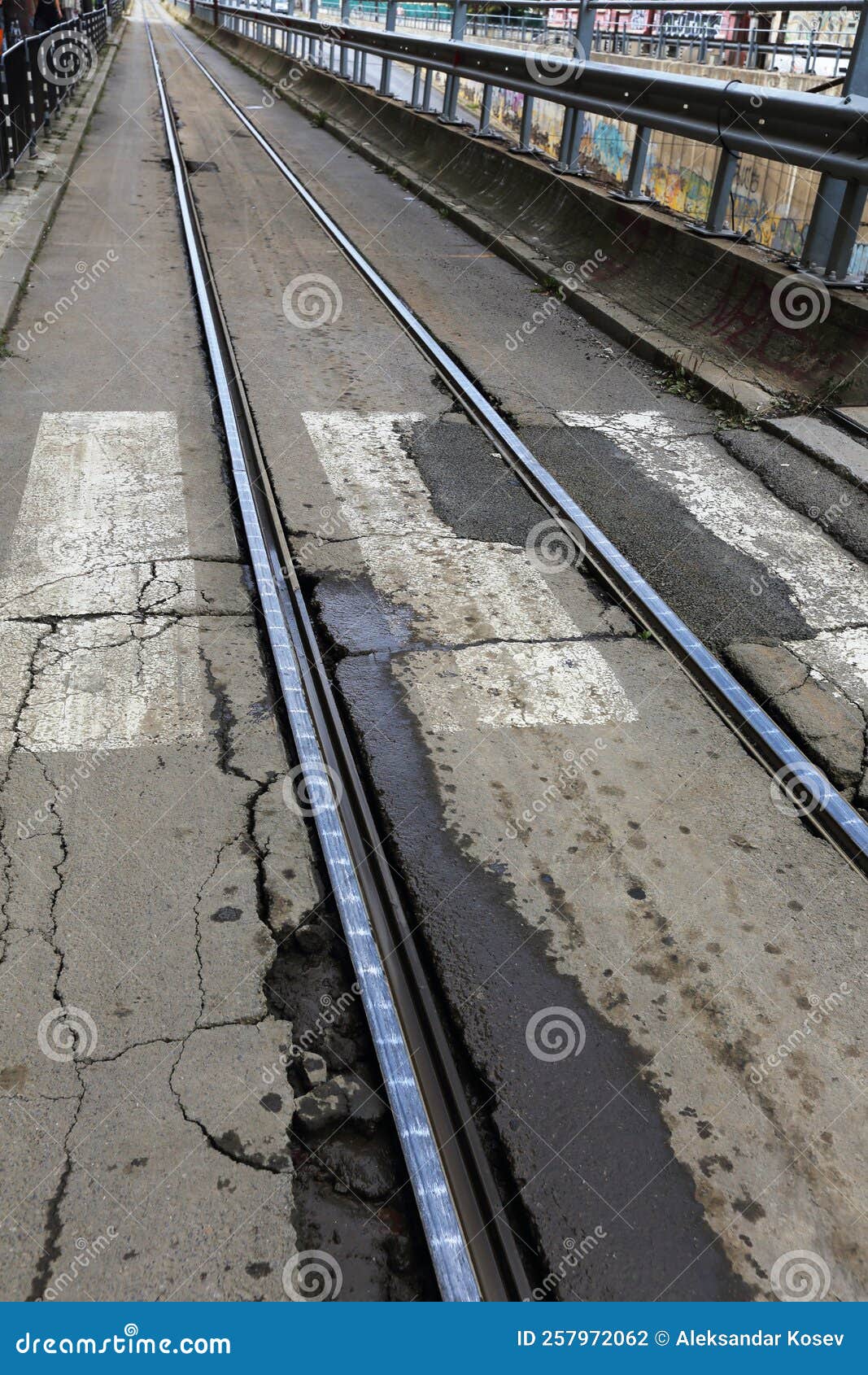 Tram rails in city stock photo. Image of transportation - 257972062