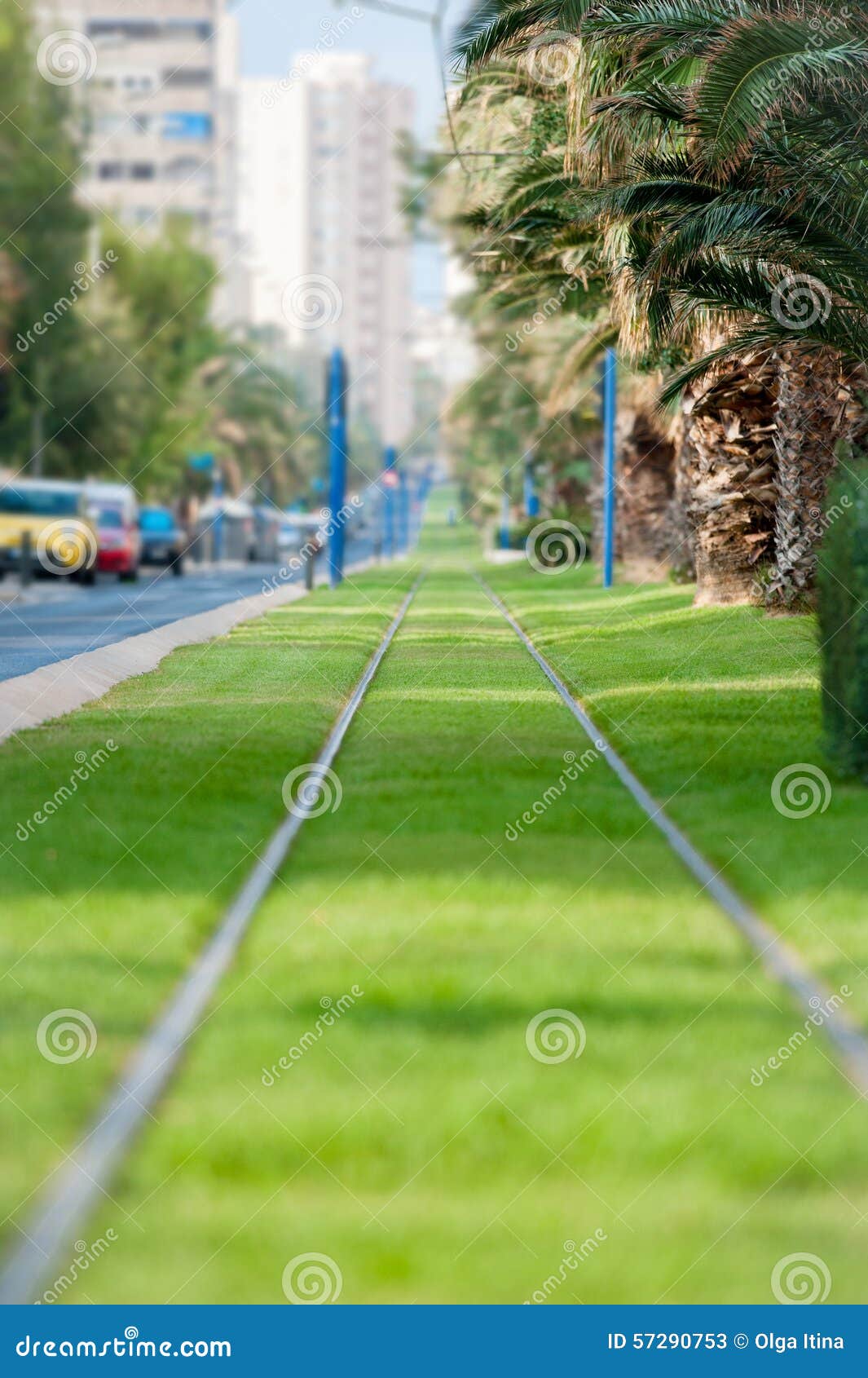Tram Railways Closeup Decorated by Green Grass Stock Image - Image of ...