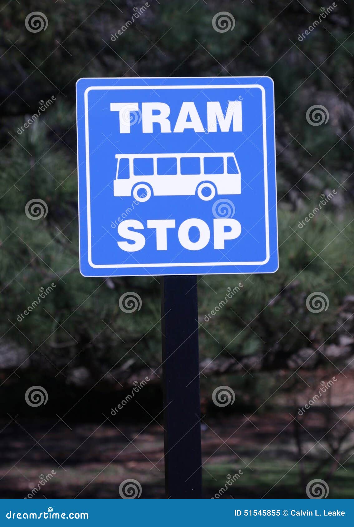 Tram Stop Sign stock image. Image of transportation, tram - 51545855