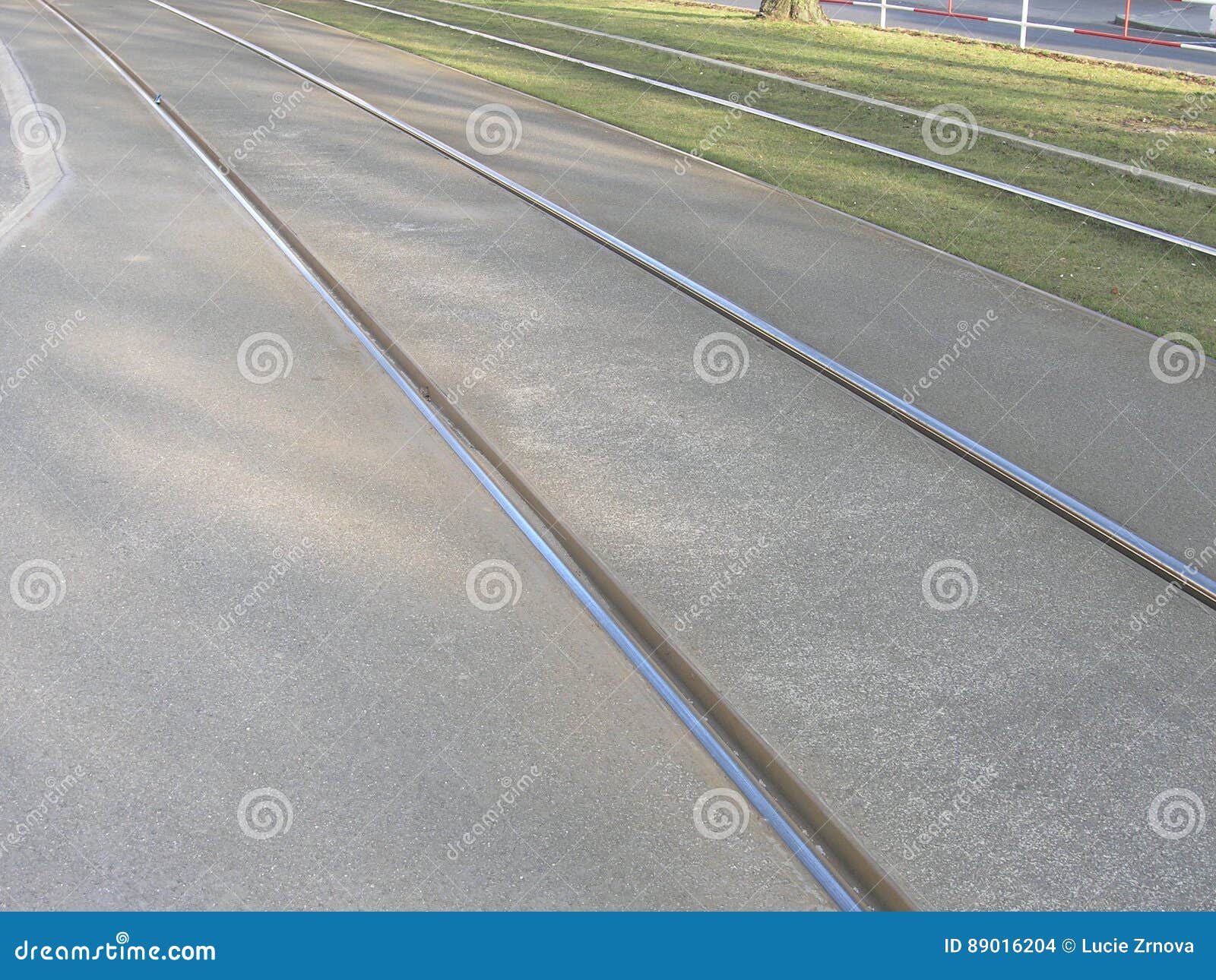 Tram Track with Rail and Grass Stock Photo - Image of public, transport ...