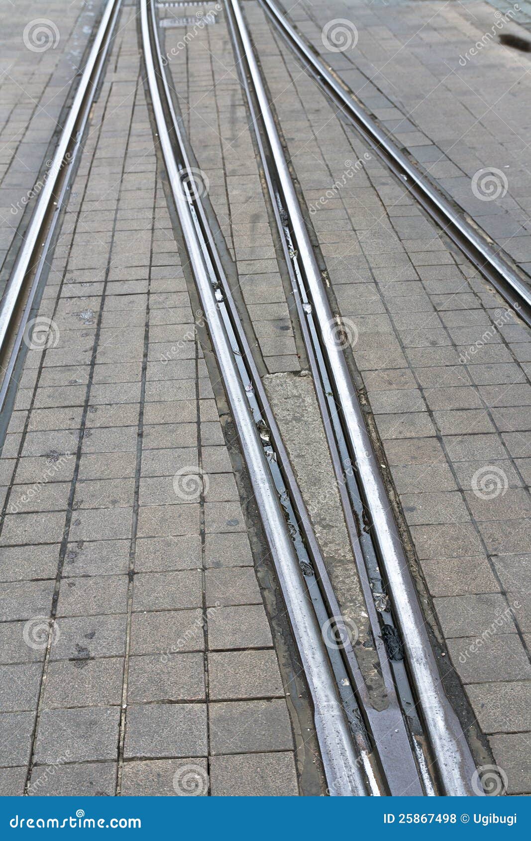Tram tracks stock photo. Image of electric, rail, transport - 25867498