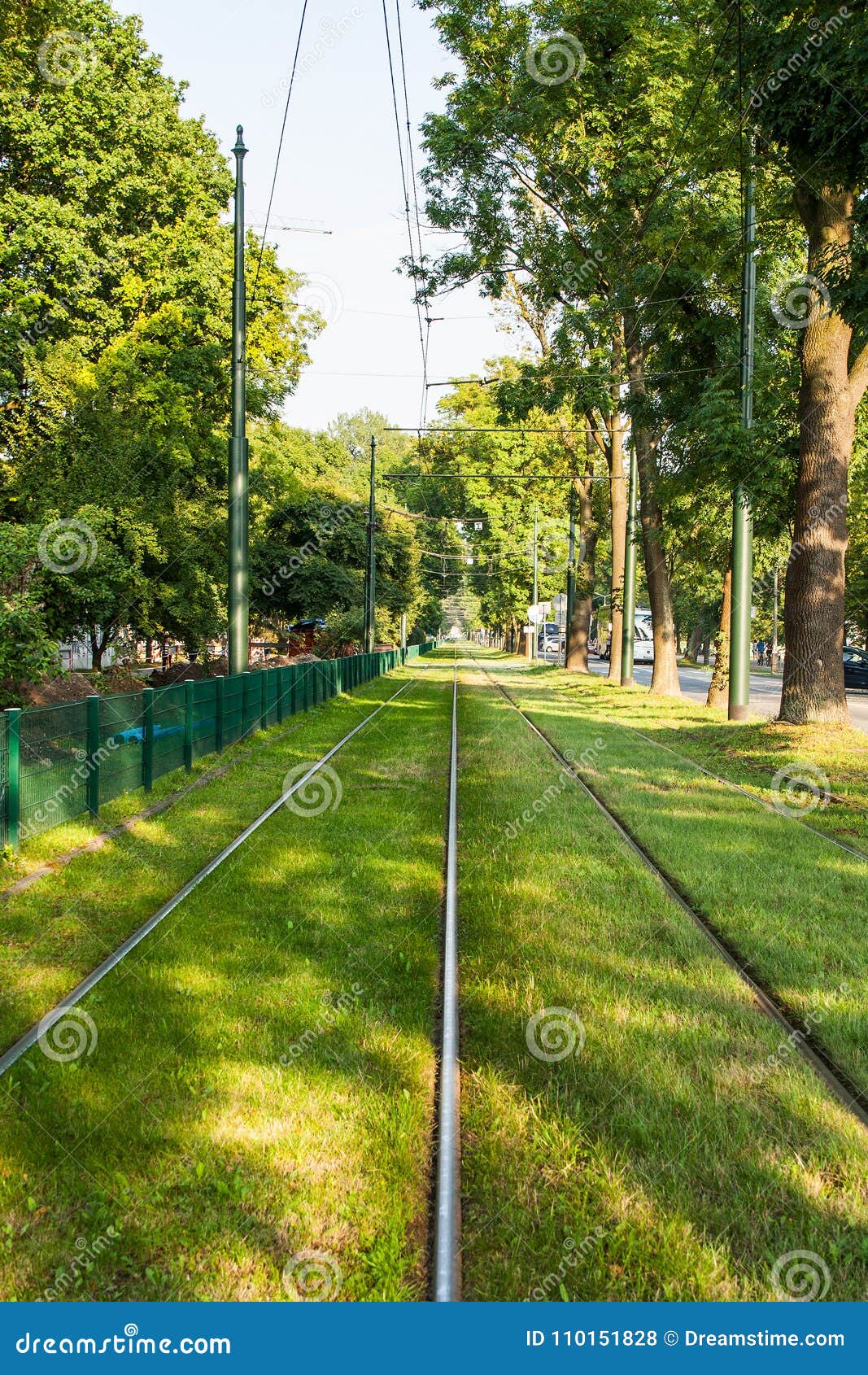 Tram Tracks in the Green City Stock Photo - Image of tram, street ...