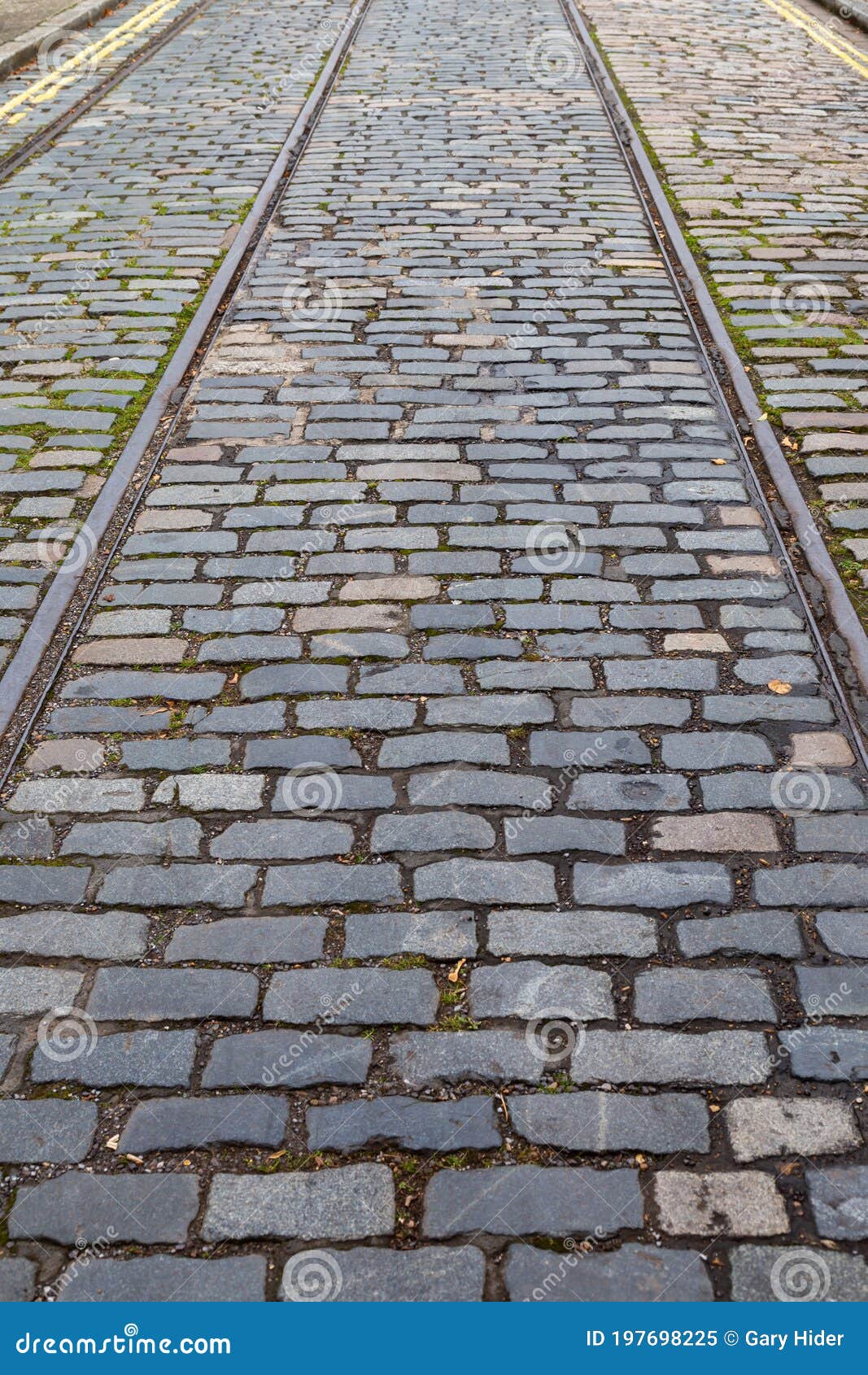 Tram Tracks or Tram Lines Running through a Cobble Street Stock Image ...