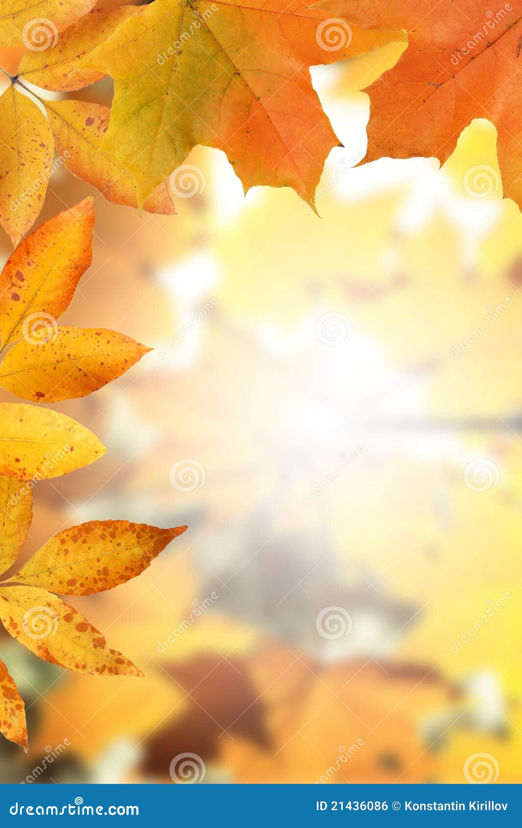 Trame d'or d'automne photo stock. Image du centrale, écologie - 21436086