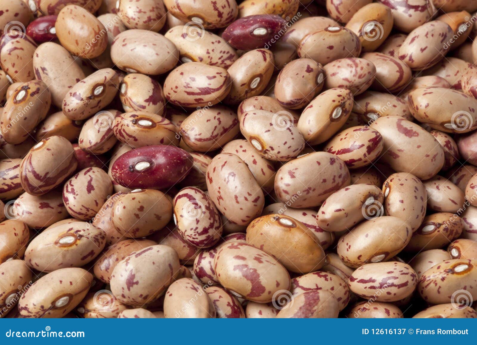 Trame D'haricots De Pinto Pleine Image stock - Image du légume ...