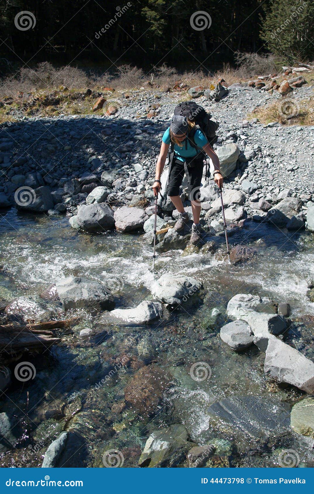 Tramper stock photo. Image of green, zealand, forest - 44473798