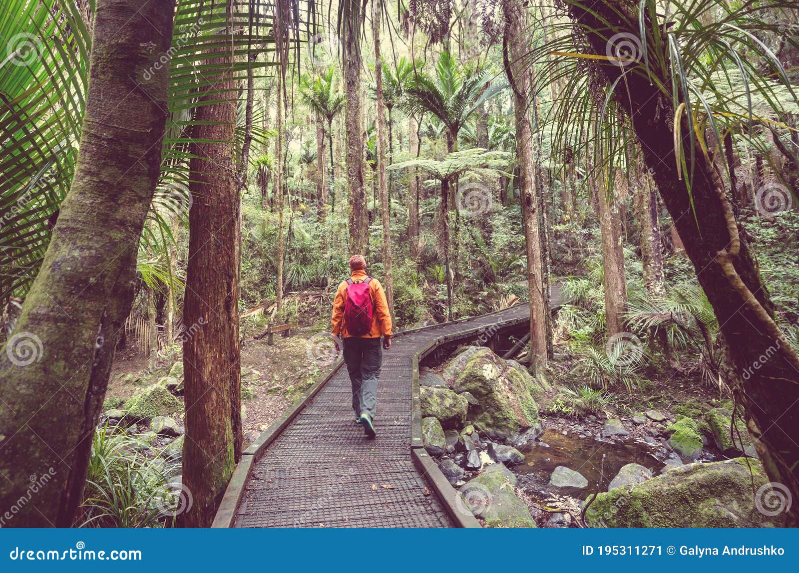 Tramping stock image. Image of outdoor, tourist, backpackers - 195311271 Tramping stock image. Image of outdoor, tourist, backpackers - 195311271