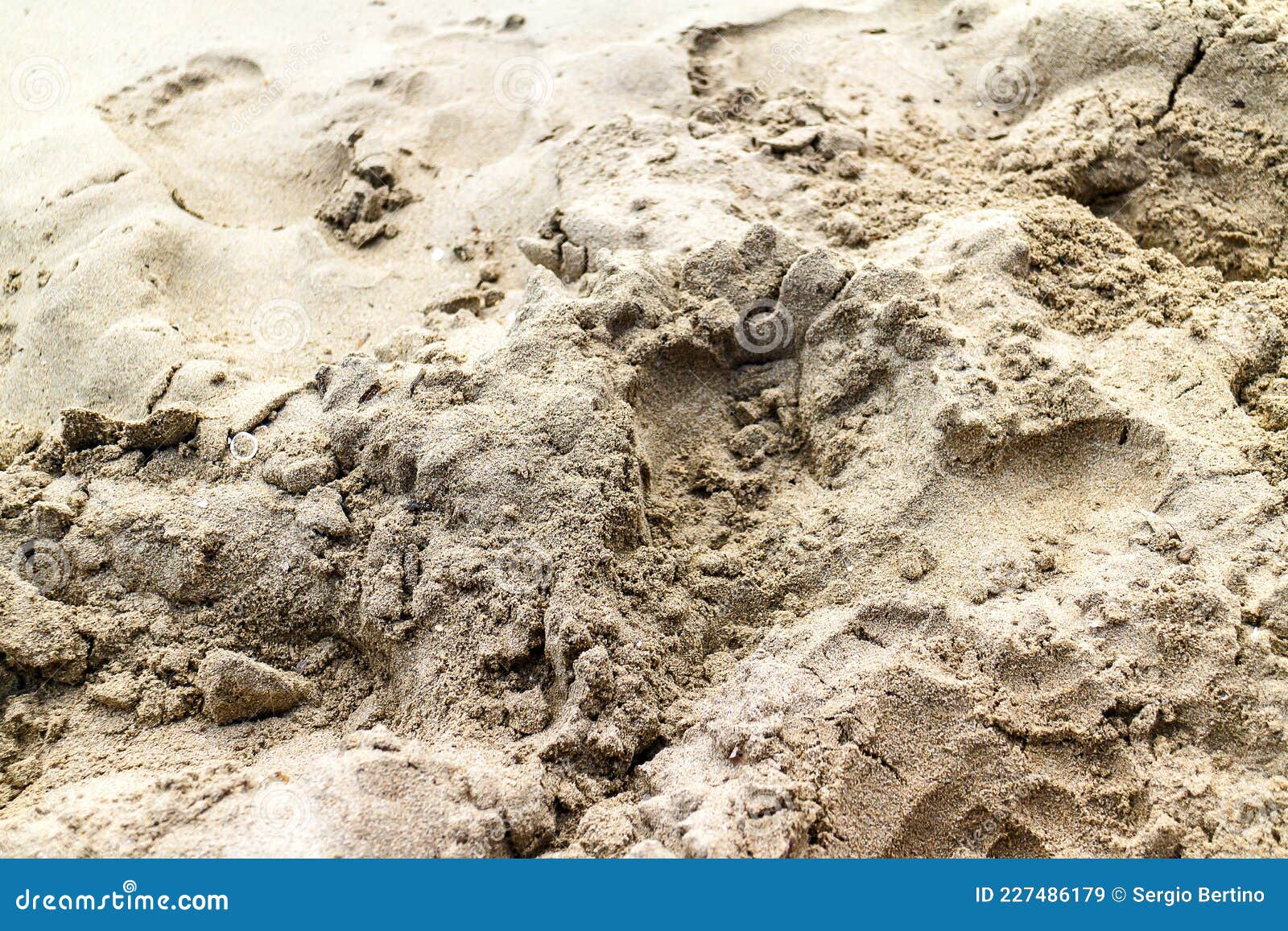 Trampled Damp Sand on a Tropical Beach Stock Image - Image of golden ...
