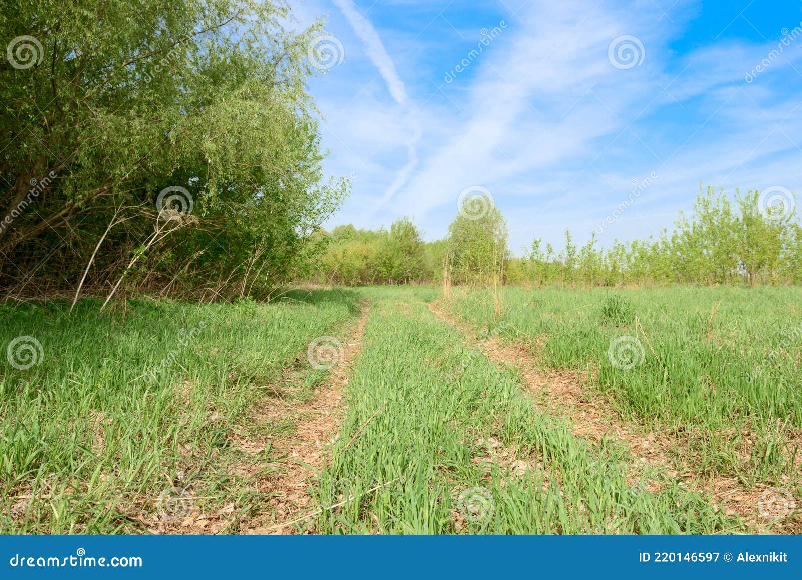 Trampled Grass on a Dirt Road in a Green Field Stock Image - Image of ...