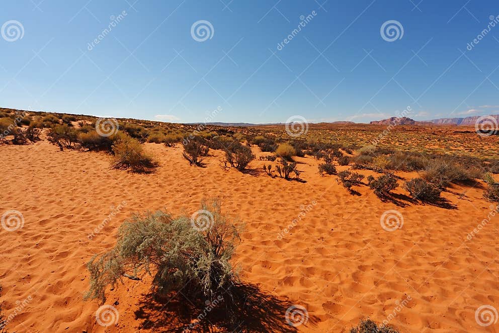 Trampled sandy slope stock photo. Image of tourist, surface - 17211562