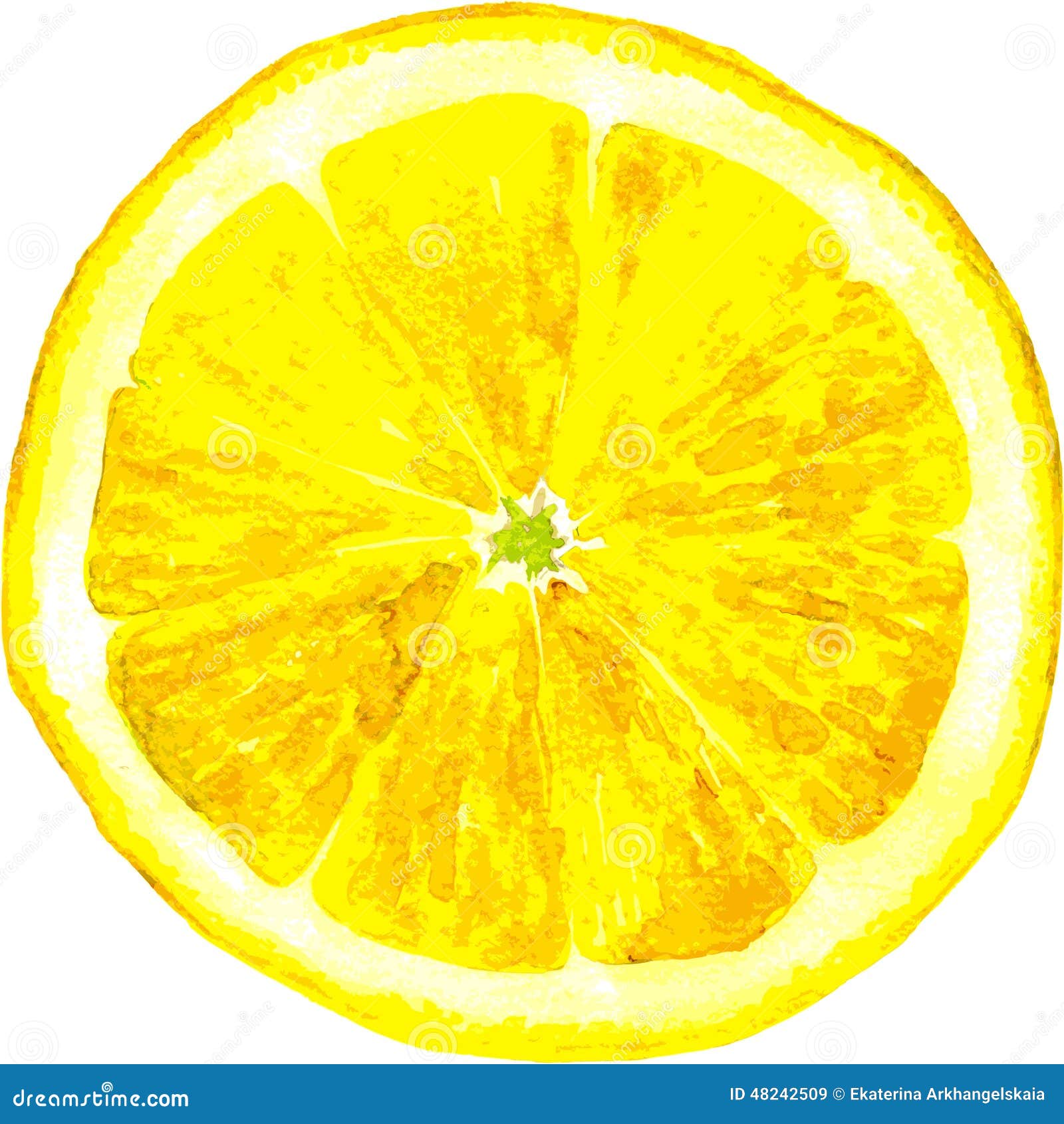 Tranche De Dessin De Citron Par L'aquarelle Illustration de Vecteur ...