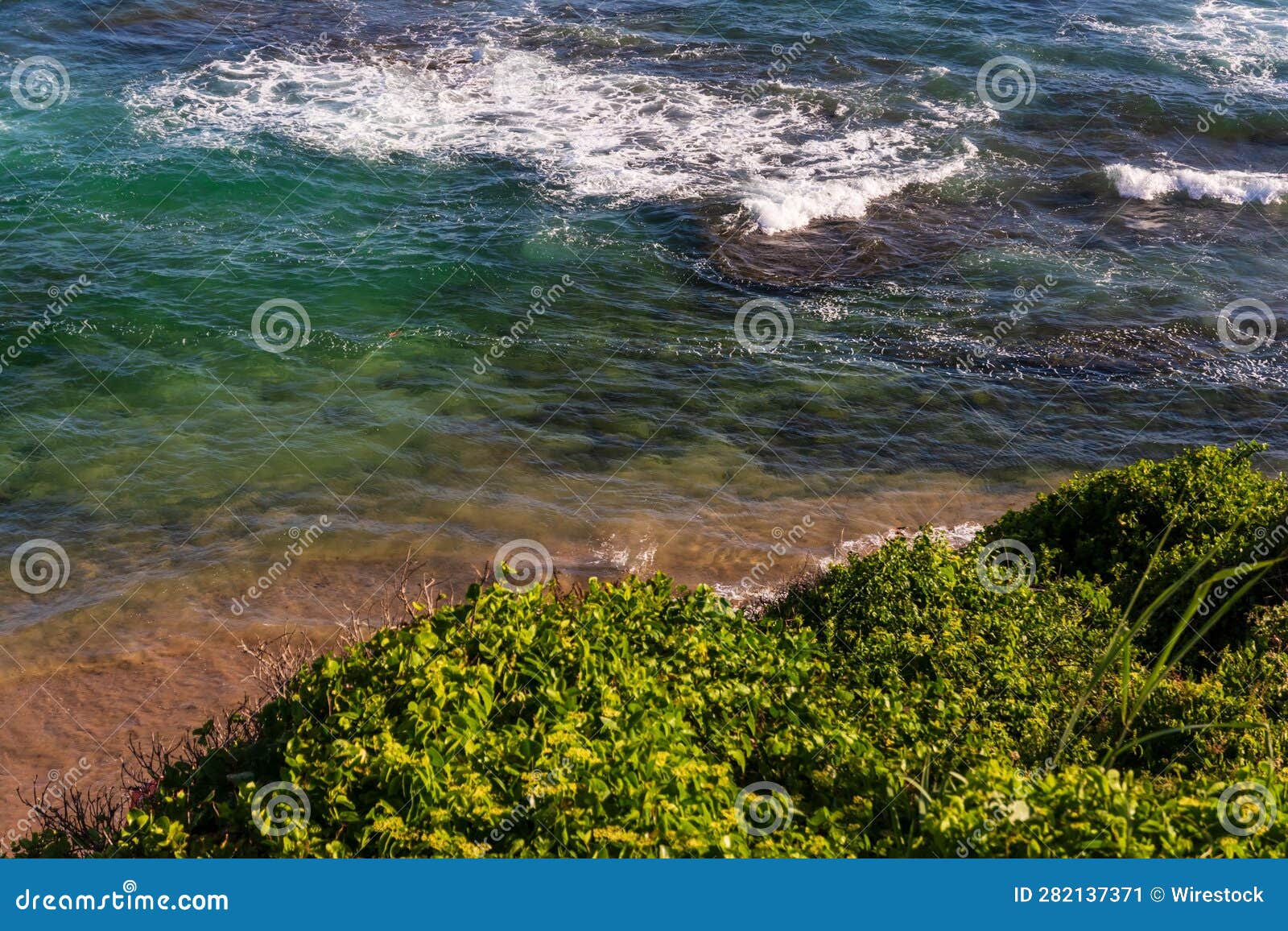 Tranquil Beach Featuring a Bright Emerald Green Shoreline Edged by a ...
