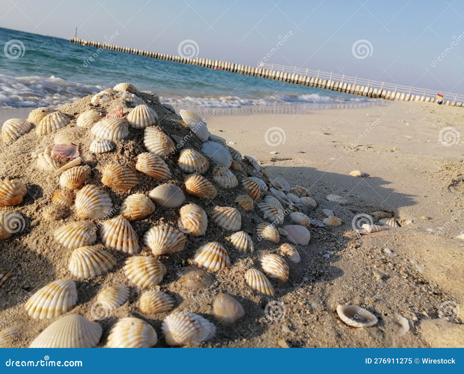 Tranquil Beach Scene Featuring a Sandy Shoreline with Seashells Stock ...