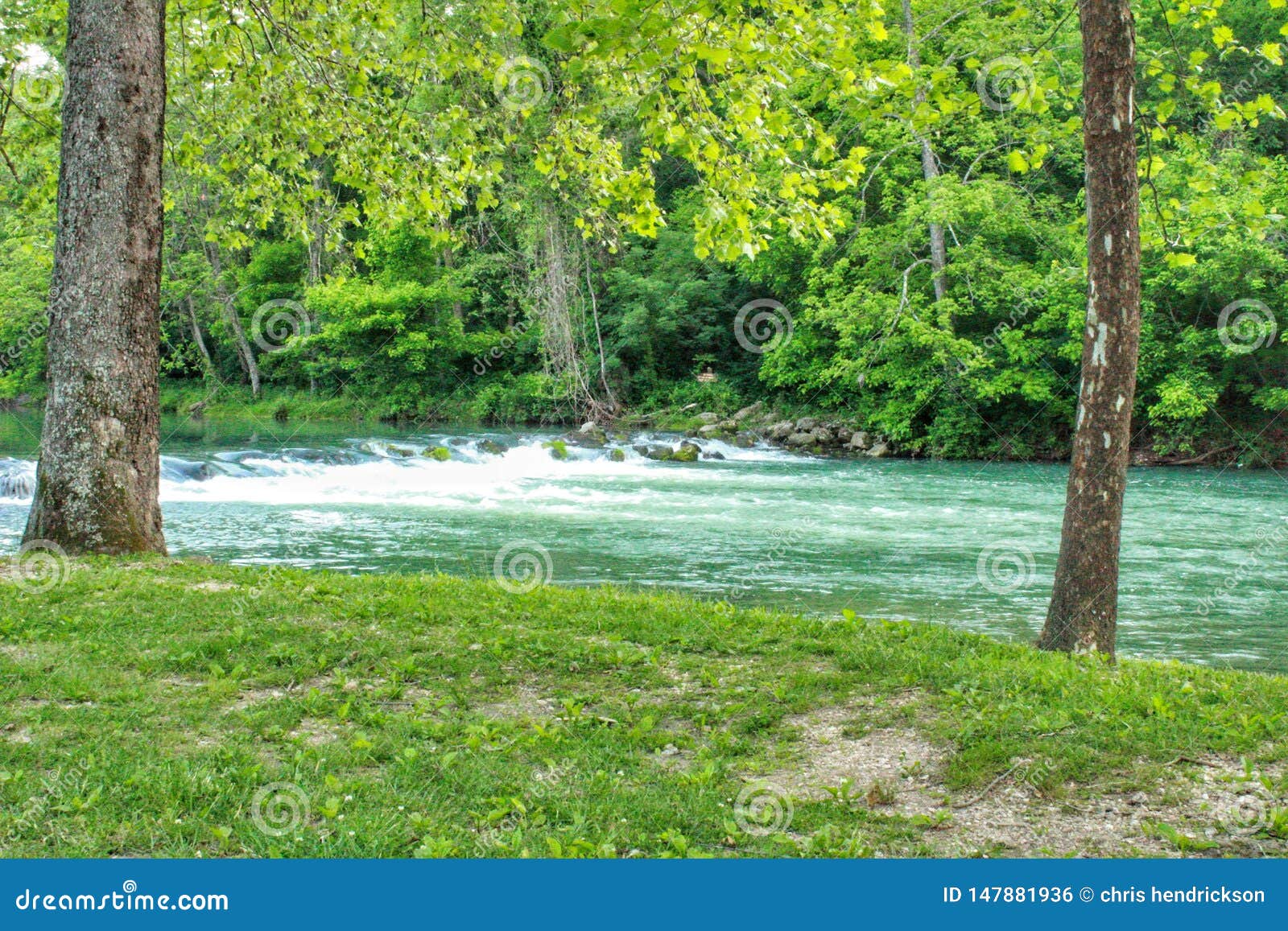 Tranquil Flowing Spring Water Stock Photo - Image of tranquil, spring ...