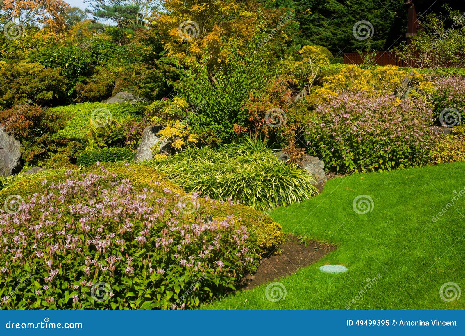 Tranquil garden landscape stock image. Image of bright - 49499395