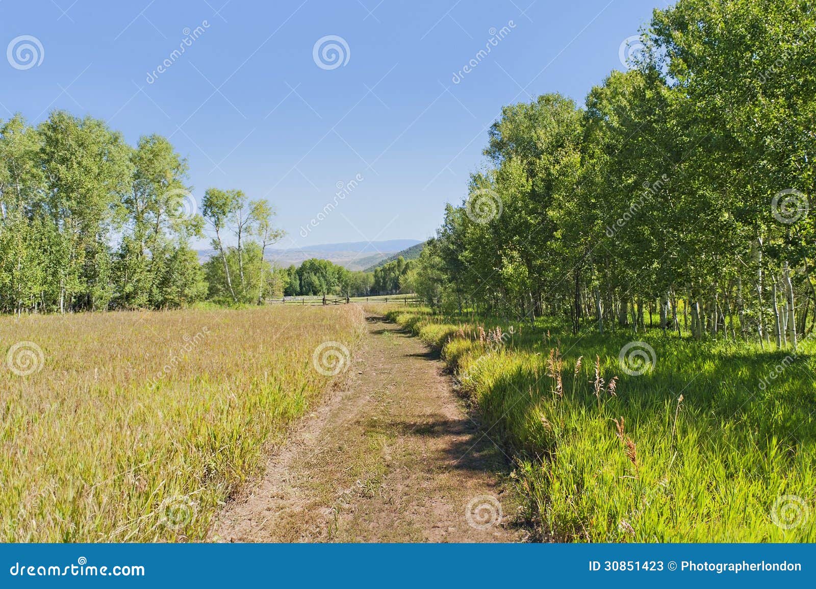 A Tranquil Green Country Scene with a Path Leading through the Grass ...
