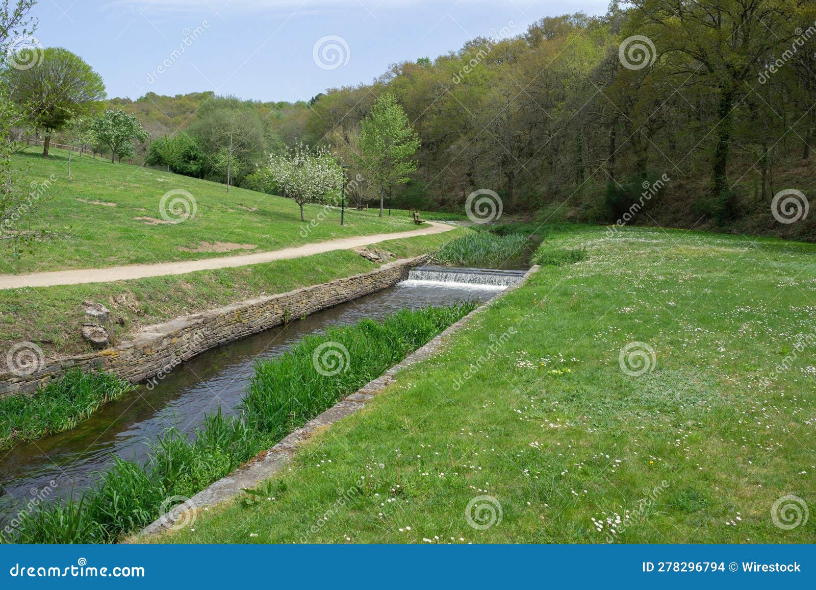 Tranquil Green Grass Field Located on the Edge of a River Stock Photo ...