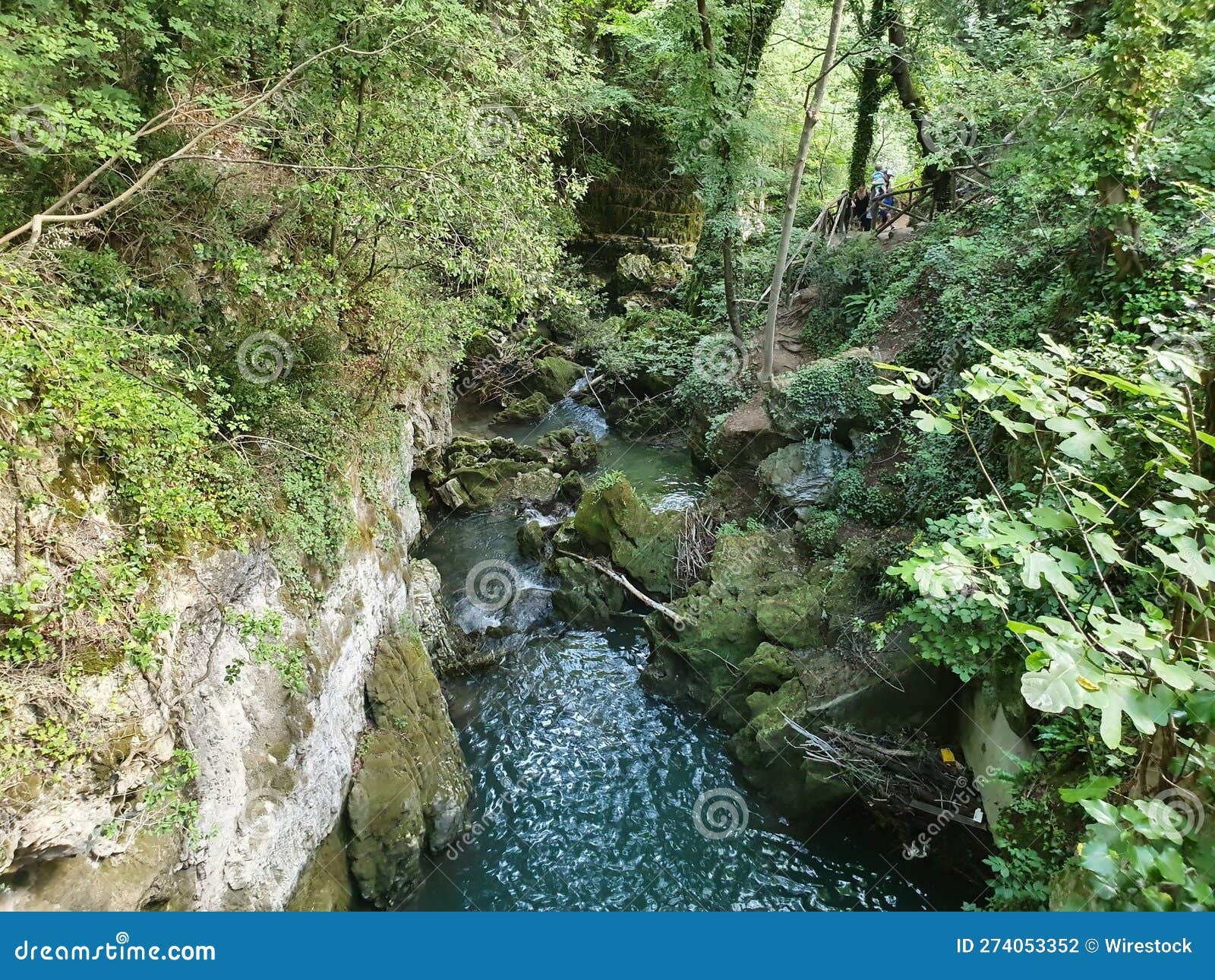 Tranquil and Idyllic Scene of a Stream Flowing through a Lush Green ...