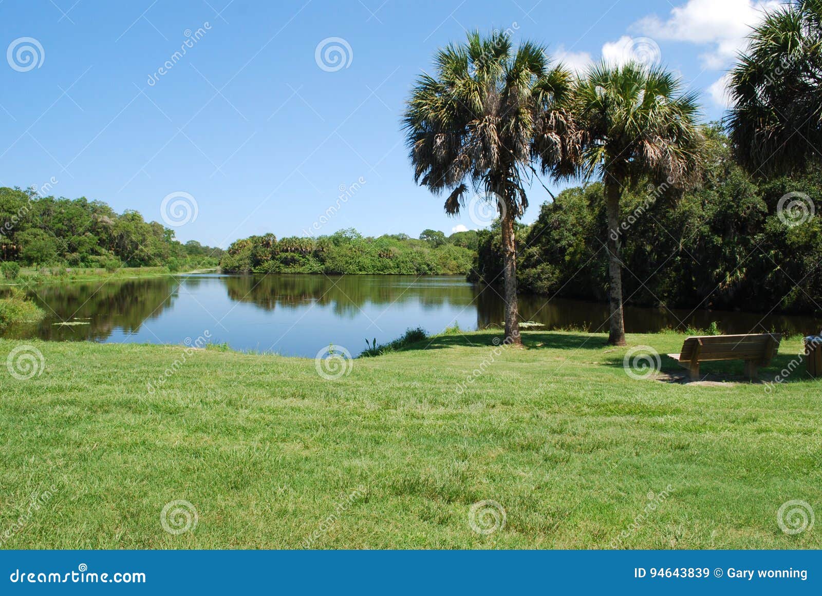 A Tranquil Lake Setting Under a Blue Sky Stock Image - Image of palm ...