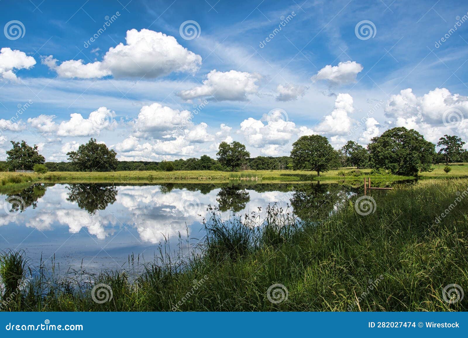 Tranquil Landscape Featuring a Serene Reflective Pond Surrounded by ...