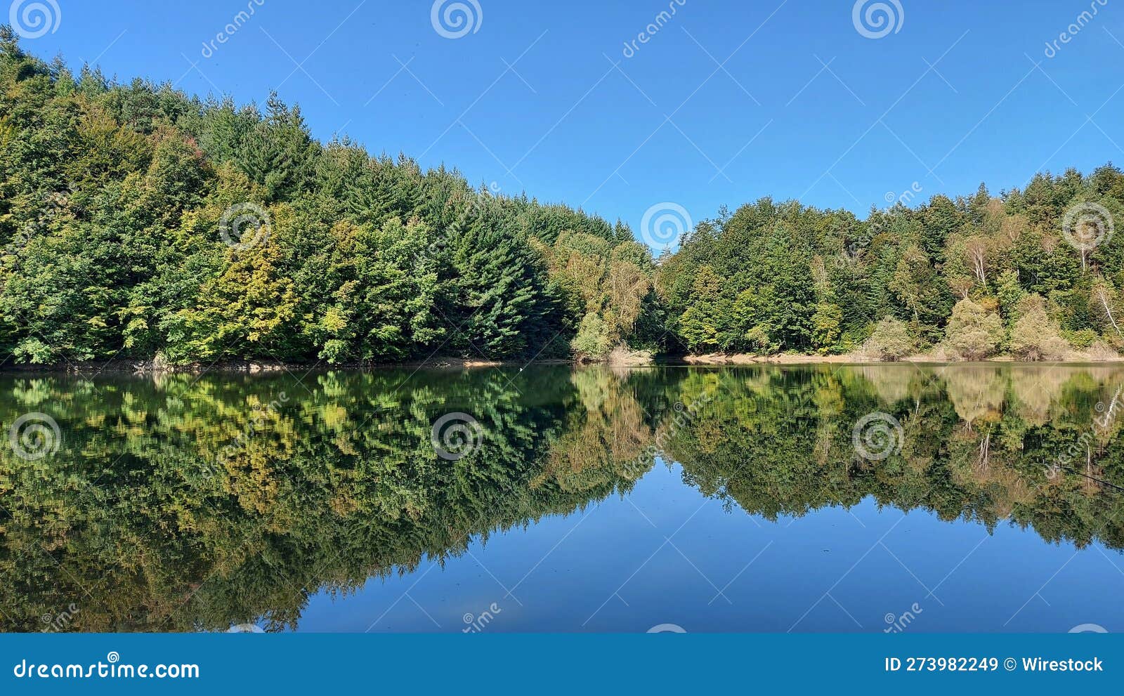 Tranquil Landscape of a River, with the Reflection of a Lush Forested ...