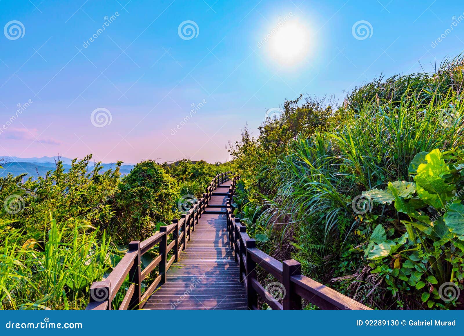 Tranquil Mountain Path with Sunlight Stock Photo - Image of quiet ...