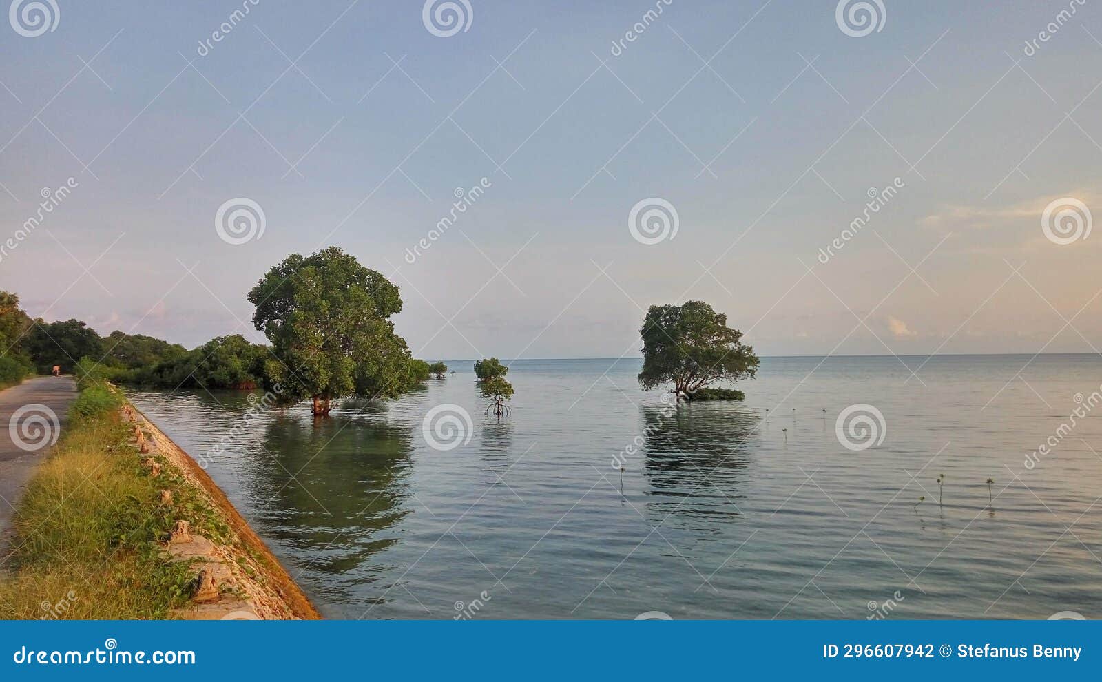 Tranquil Ocean View with Greenery and Trees on the Shoreline Editorial ...