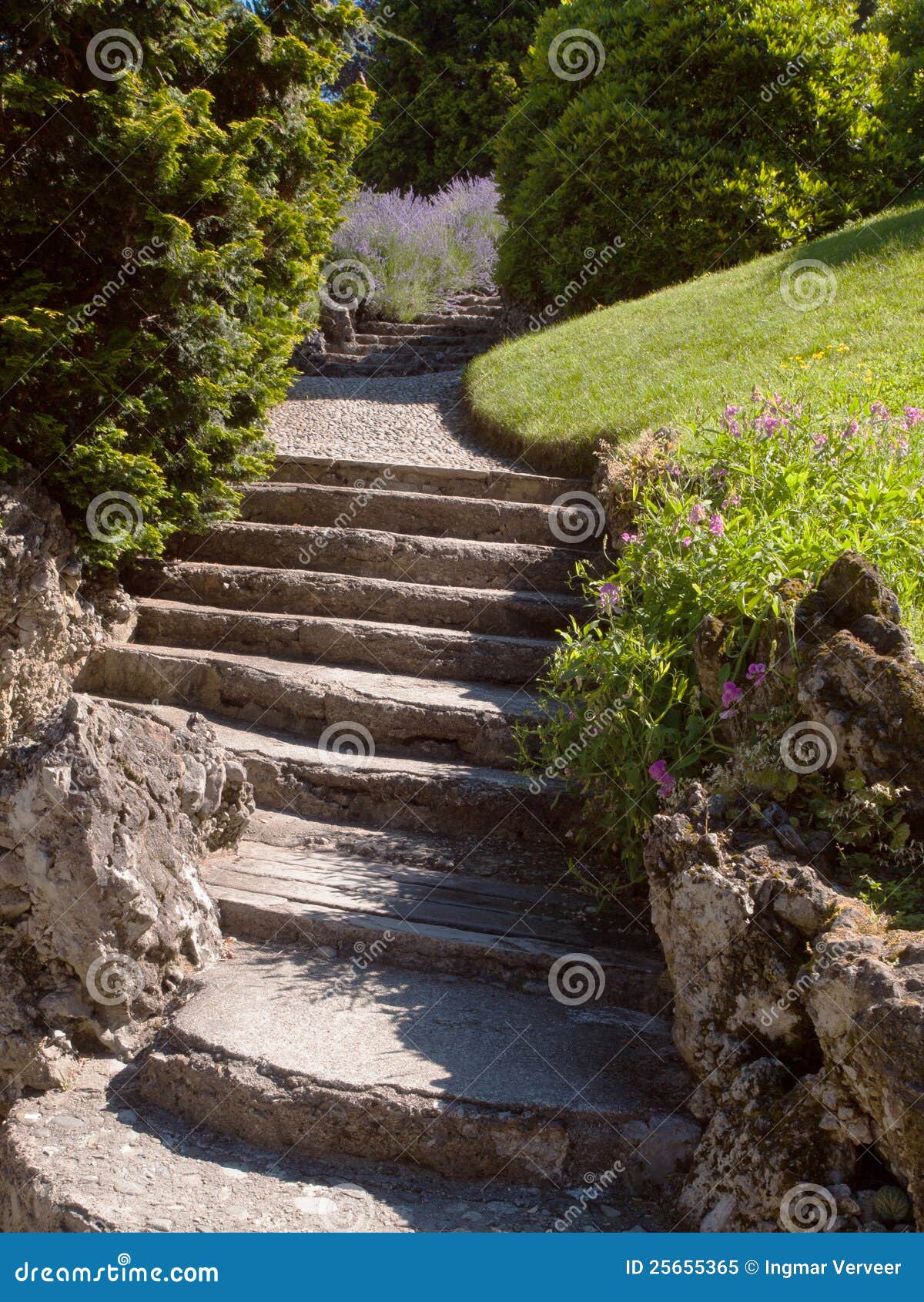 Tranquil path stock image. Image of peaceful, peace, pebbles - 25655365