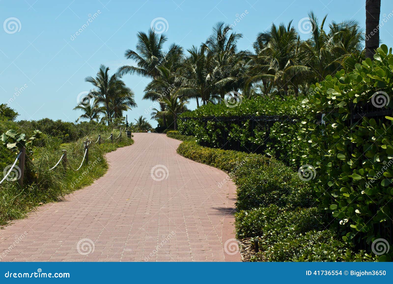Tranquil Path in a Tropical Setting Stock Photo - Image of palm ...