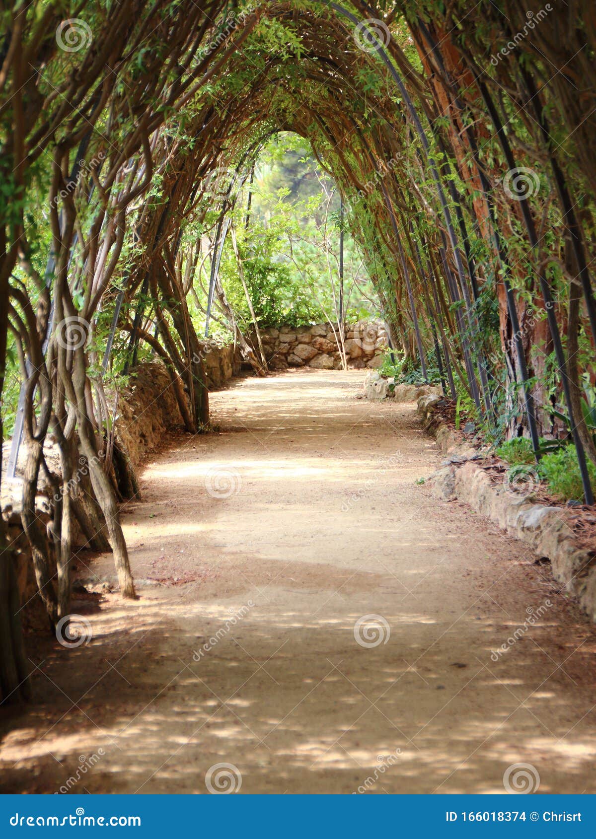 Tranquil Path Under Pergola with Braid Branches Stock Photo - Image of ...