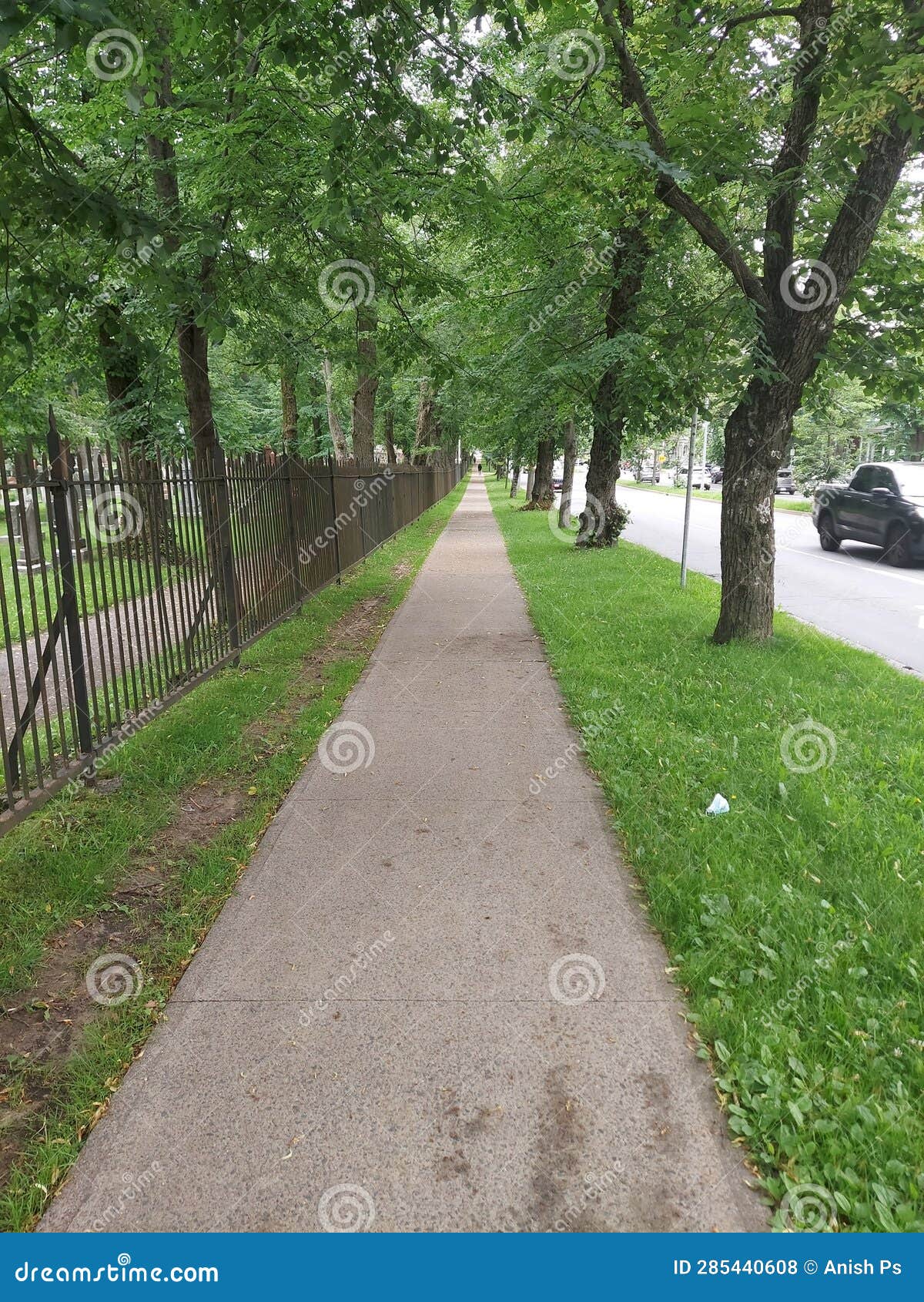 Tranquil Path Winds through Lush Green Garden with Vibrant Nature and ...