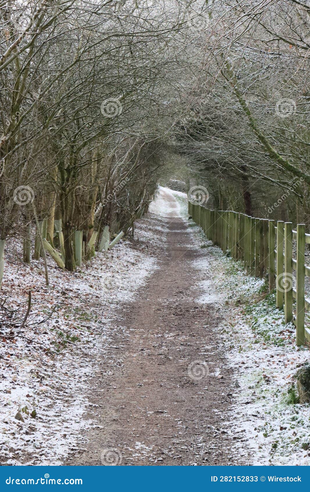 Tranquil Pathway in the Countryside is Lined with a Row of Trees on One ...