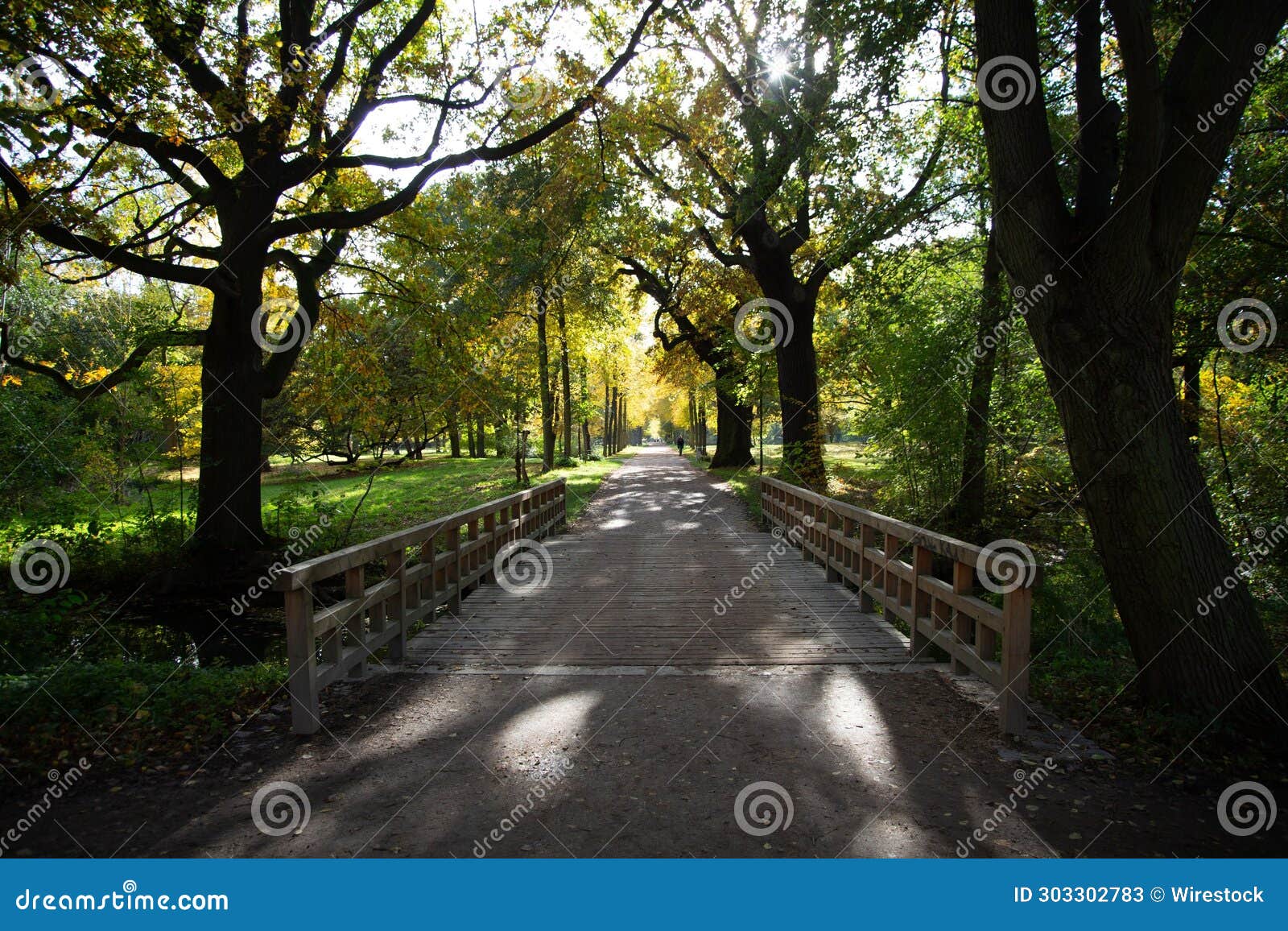 Tranquil Pathway Lined with Trees Illuminated by the Warm Light of the ...