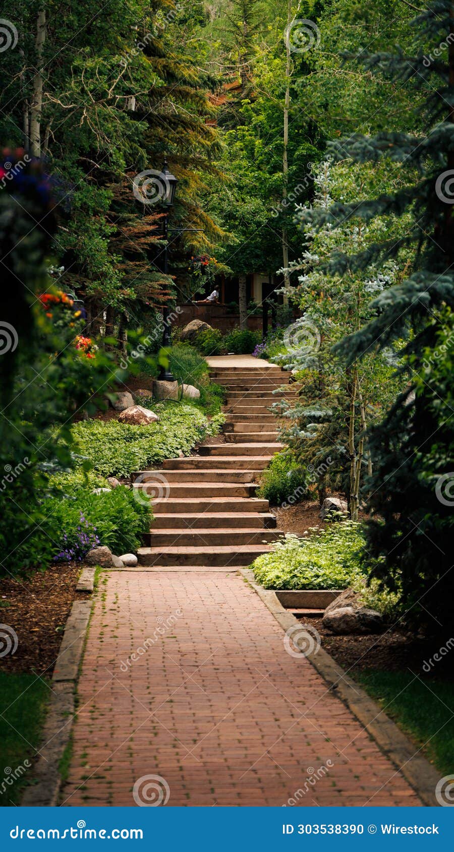 A Stone Path Next To a Forest Lined with Evergreen Trees Stock Photo ...