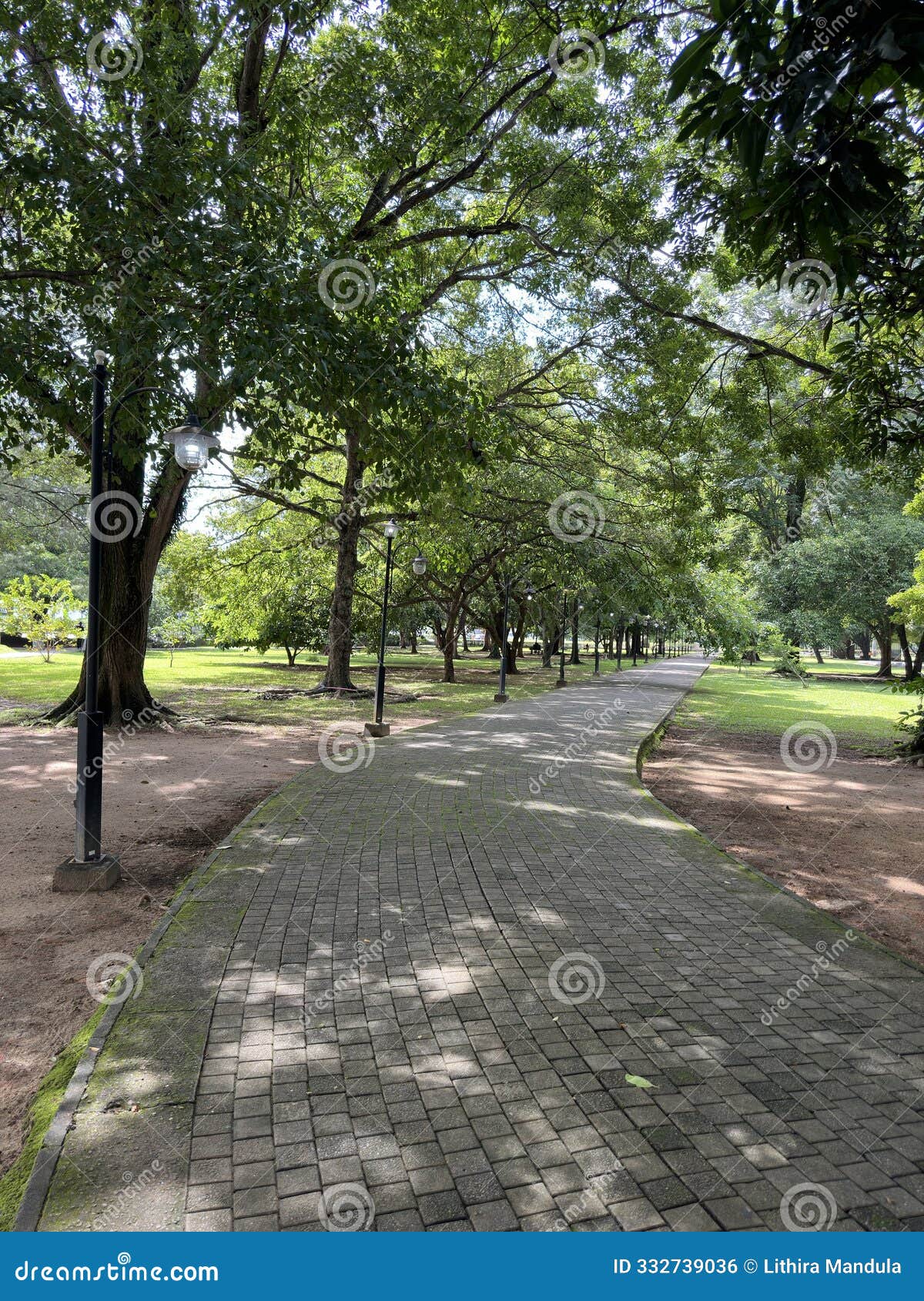 Path At Maha Aungmye Bonzan Monastery,Inwa In Myanmar (Burmar) Royalty ...