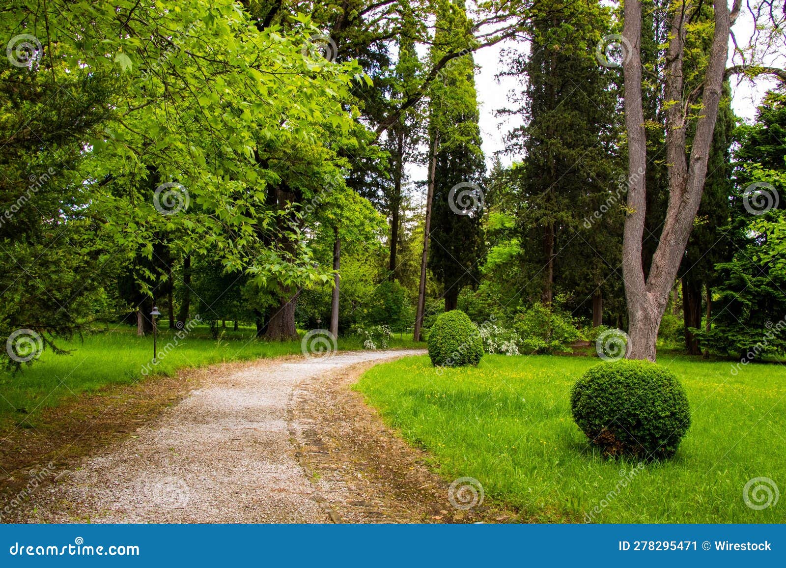 Tranquil Pathway Winds Its Way through a Lush Green Park Stock Image ...