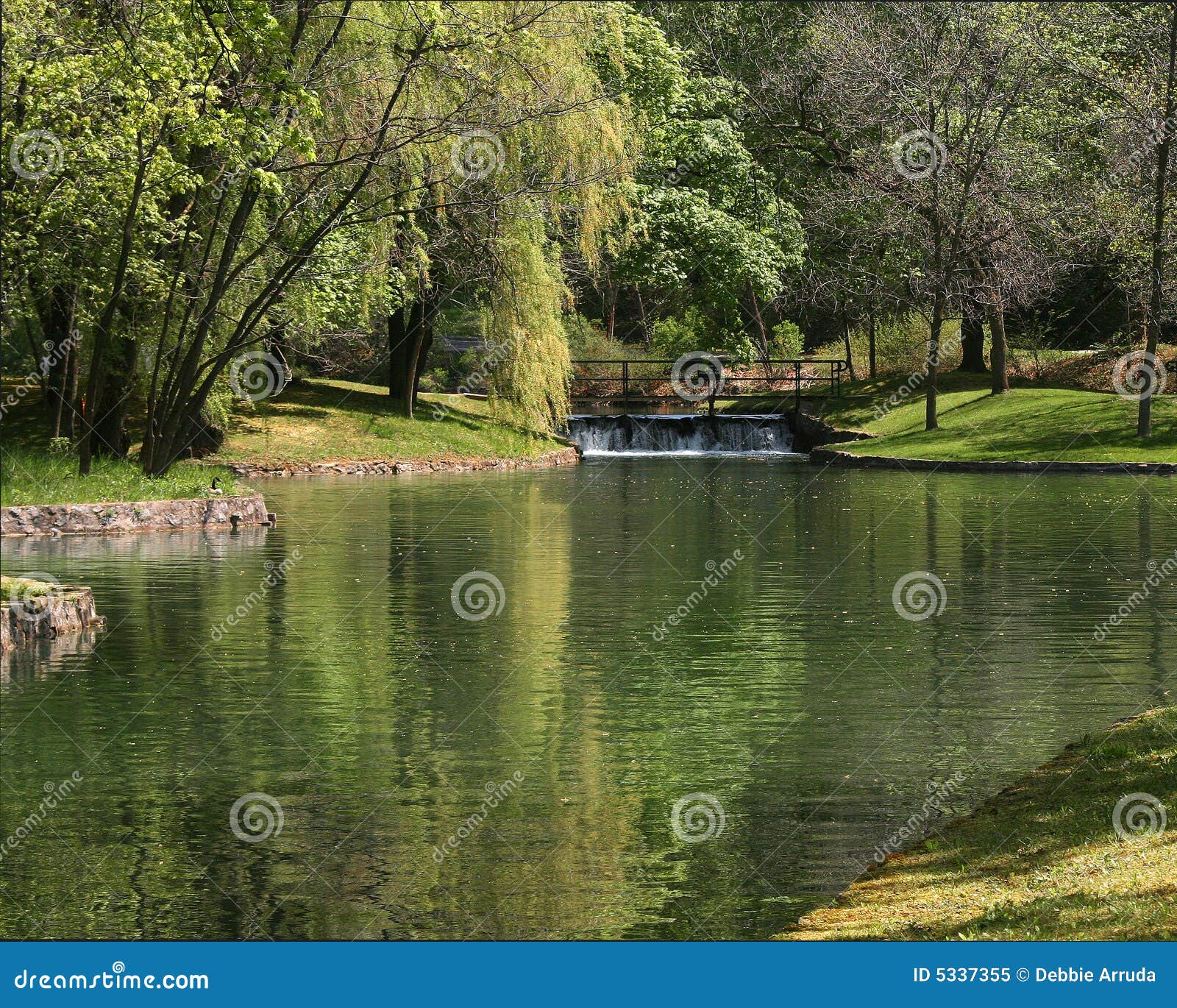 Tranquil Pond stock image. Image of serene, spring, water - 5337355