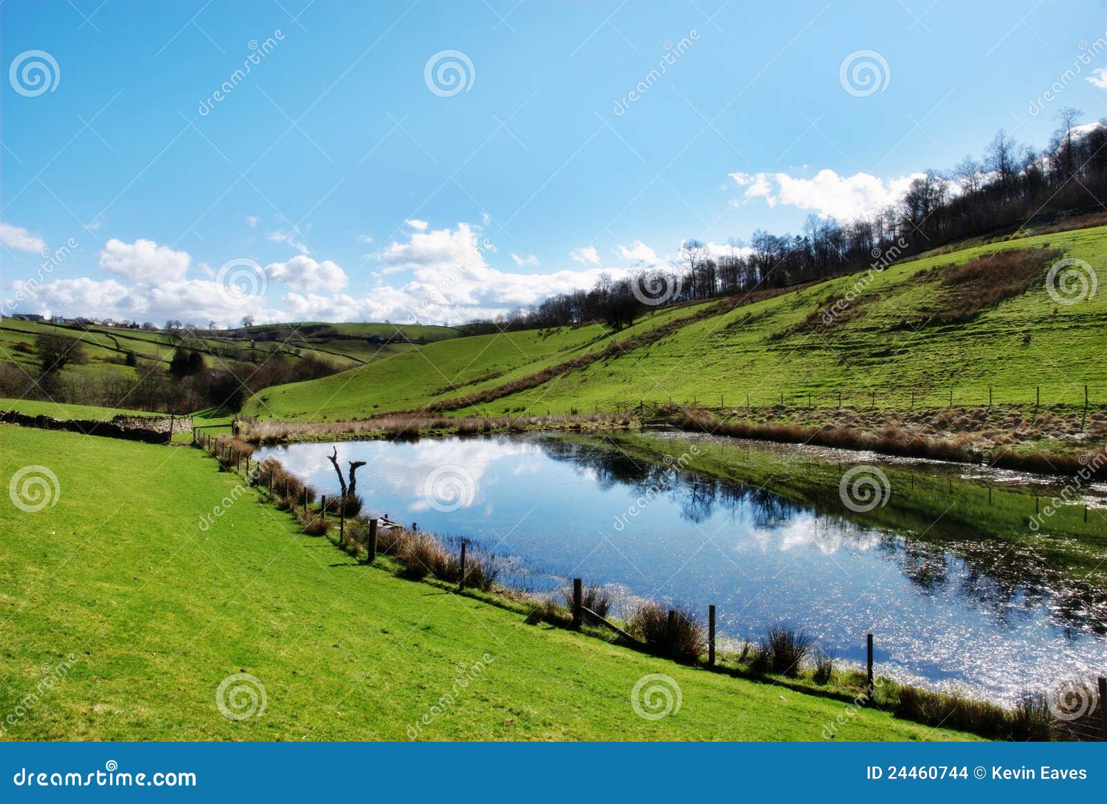 Tranquil Pond in Rolling English Countryside Stock Photo - Image of ...