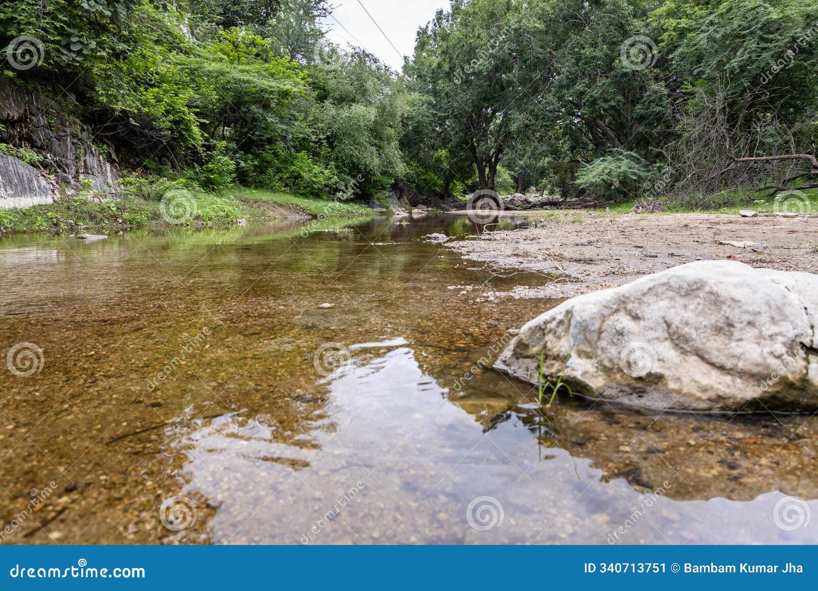 Tranquil Rainforest Scene with Calm River Water and Dense Greenery at ...
