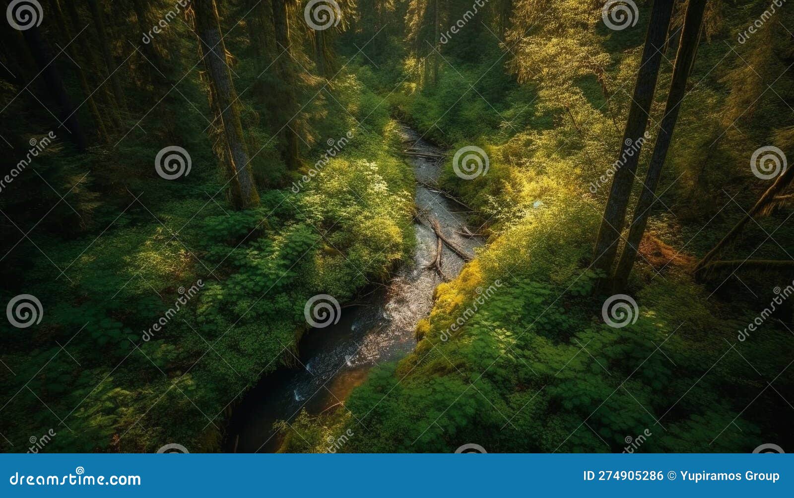 Tranquil Ravine, Flowing Water, Autumn Leaves Falling Generated by AI ...
