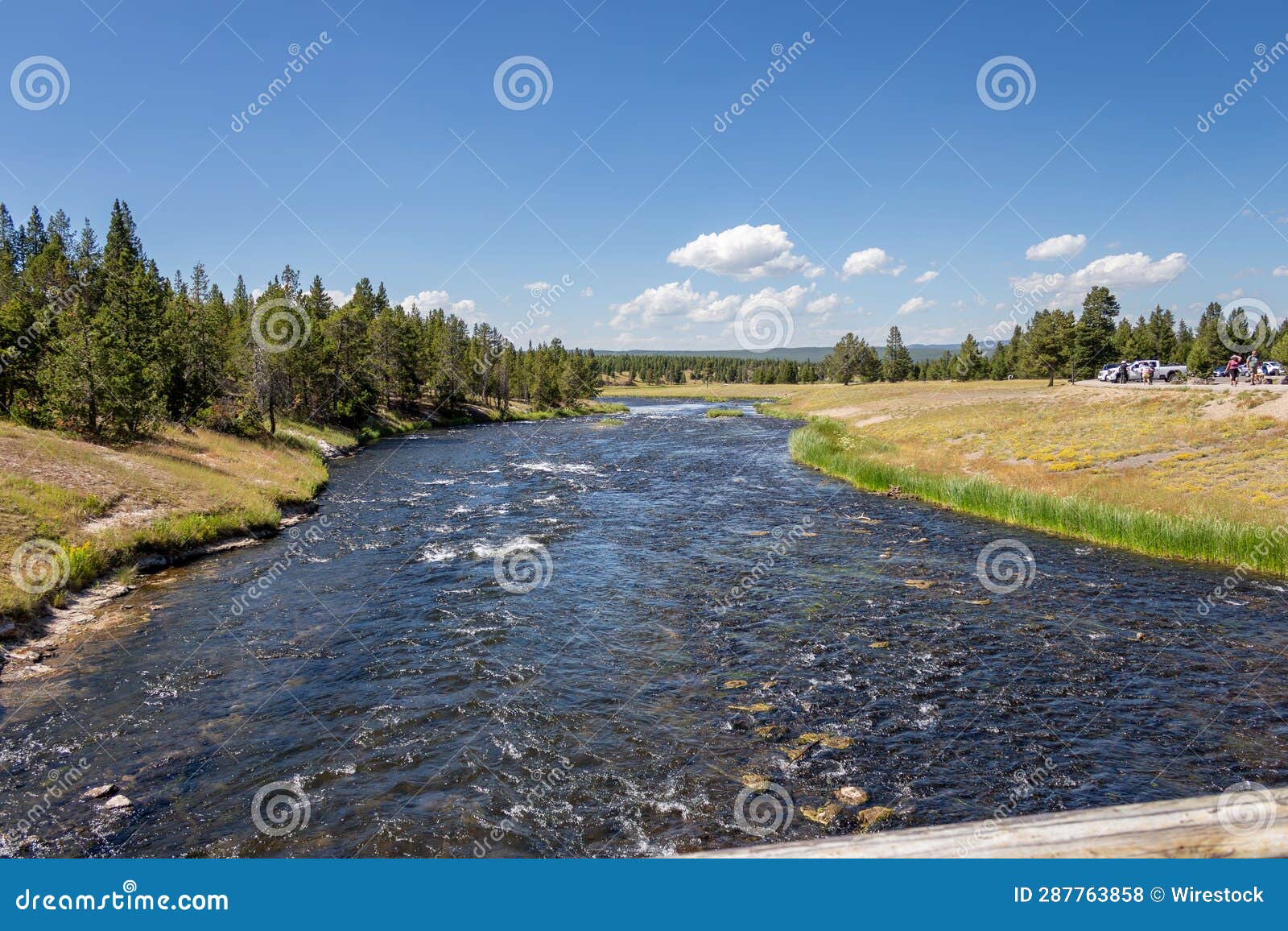 A Small Stream Meandering through a Grassy Field with Trees in the ...