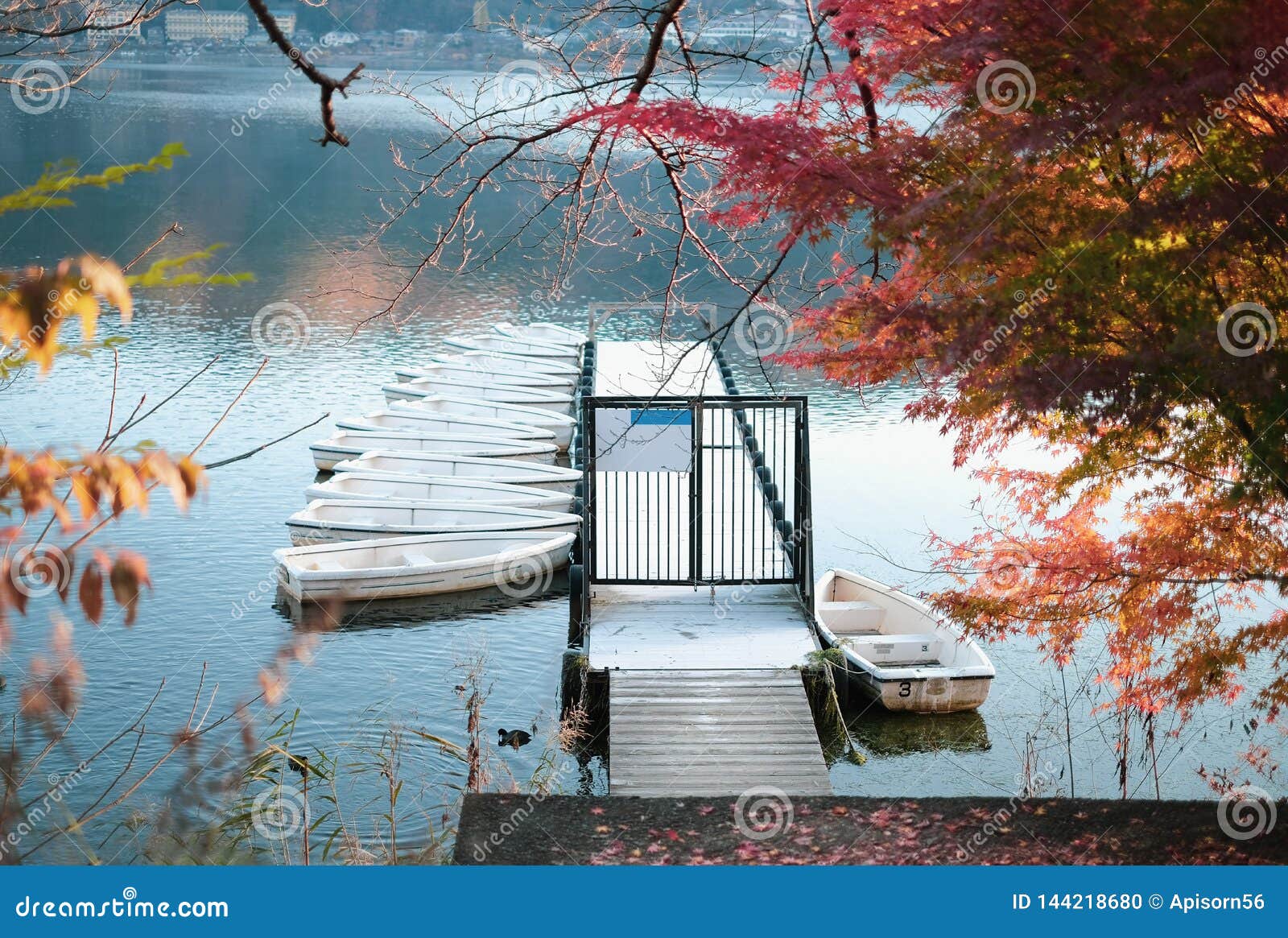 Tranquil Scene of Dock Water and Group of Boats in Autumn Stock Photo ...